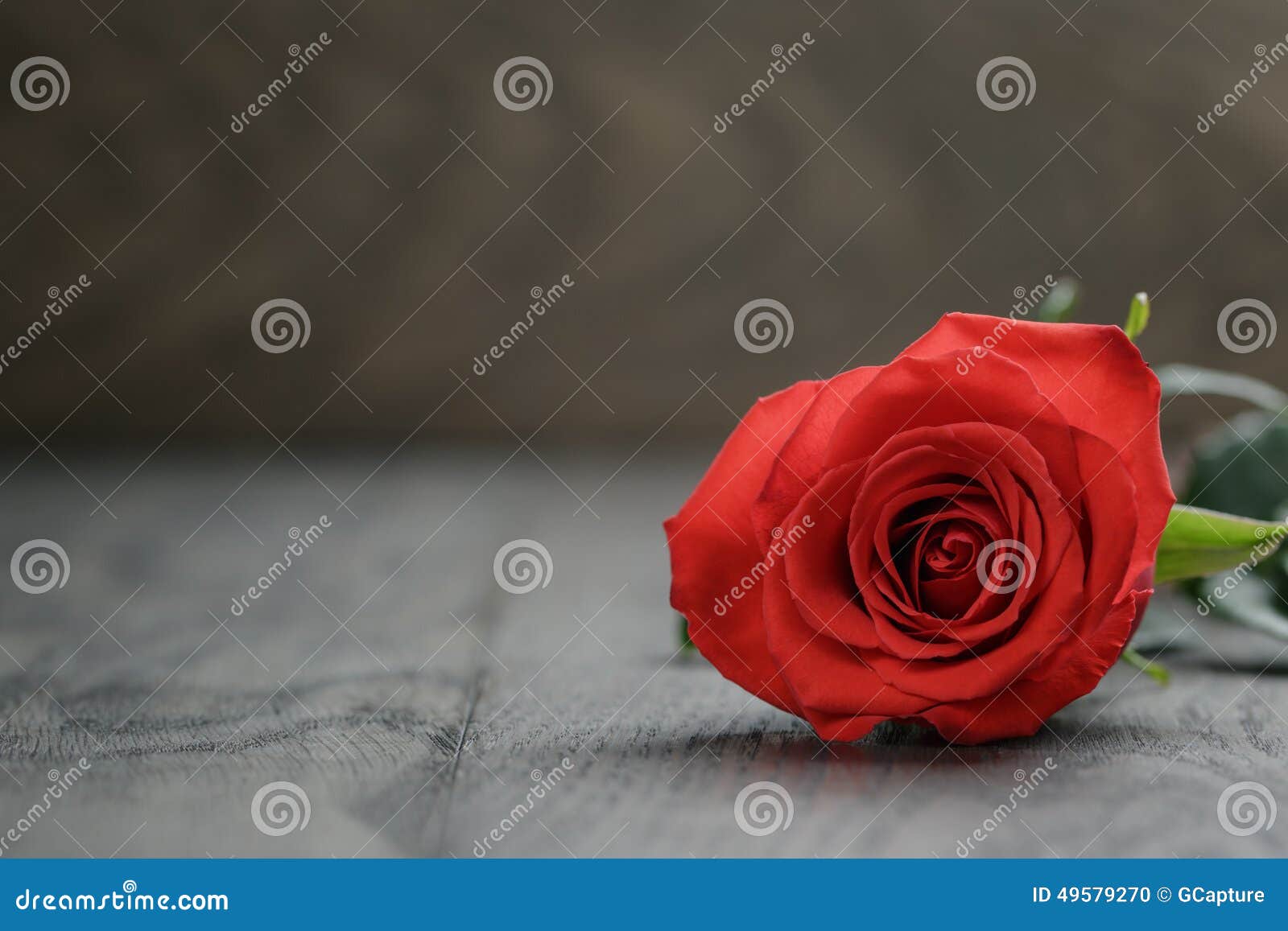 One Red Rose on Oak Wood Table Stock Photo - Image of beauty, floral ...