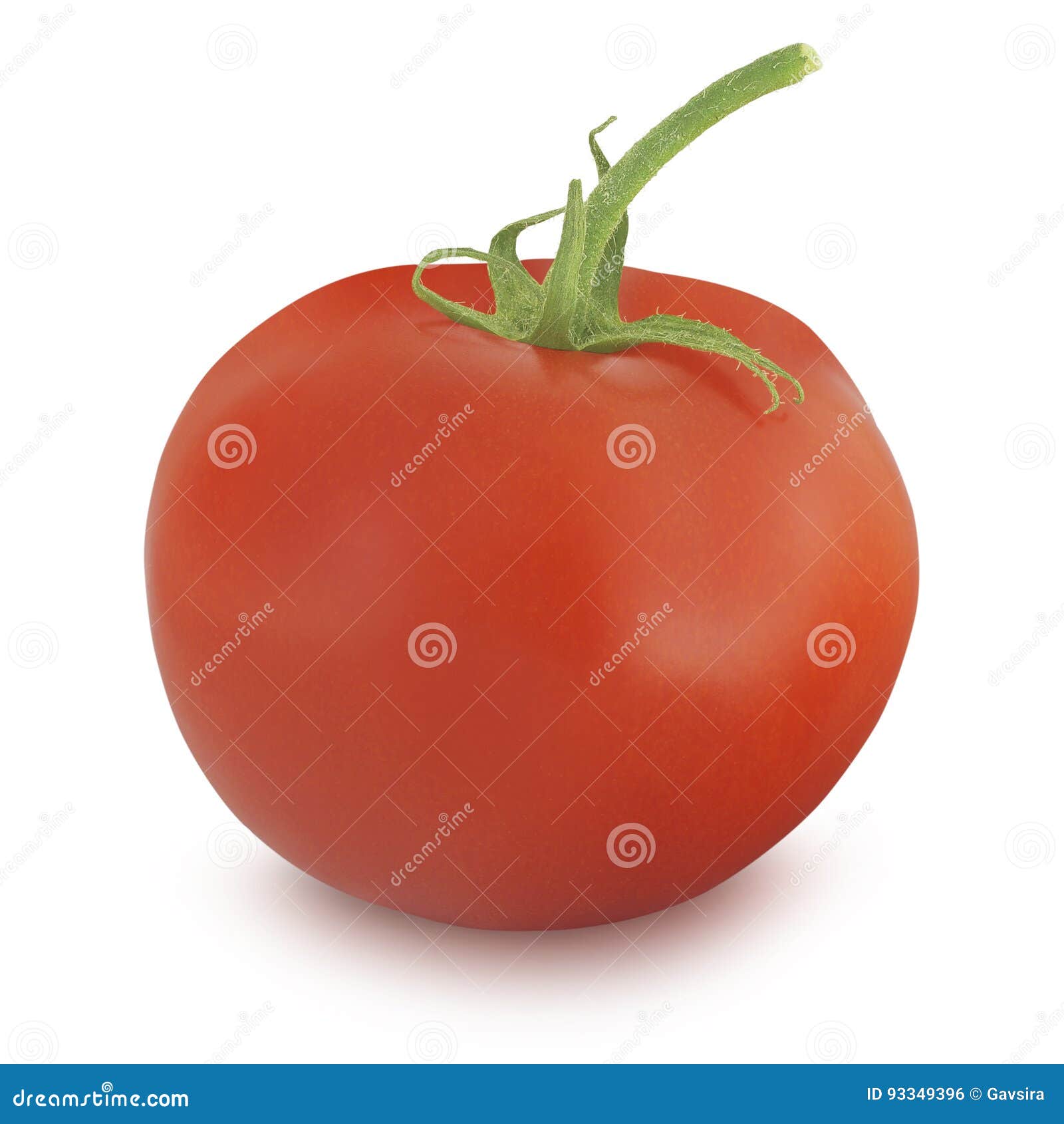 One Red Tomato Isolated on White Background Stock Photo - Image of ...