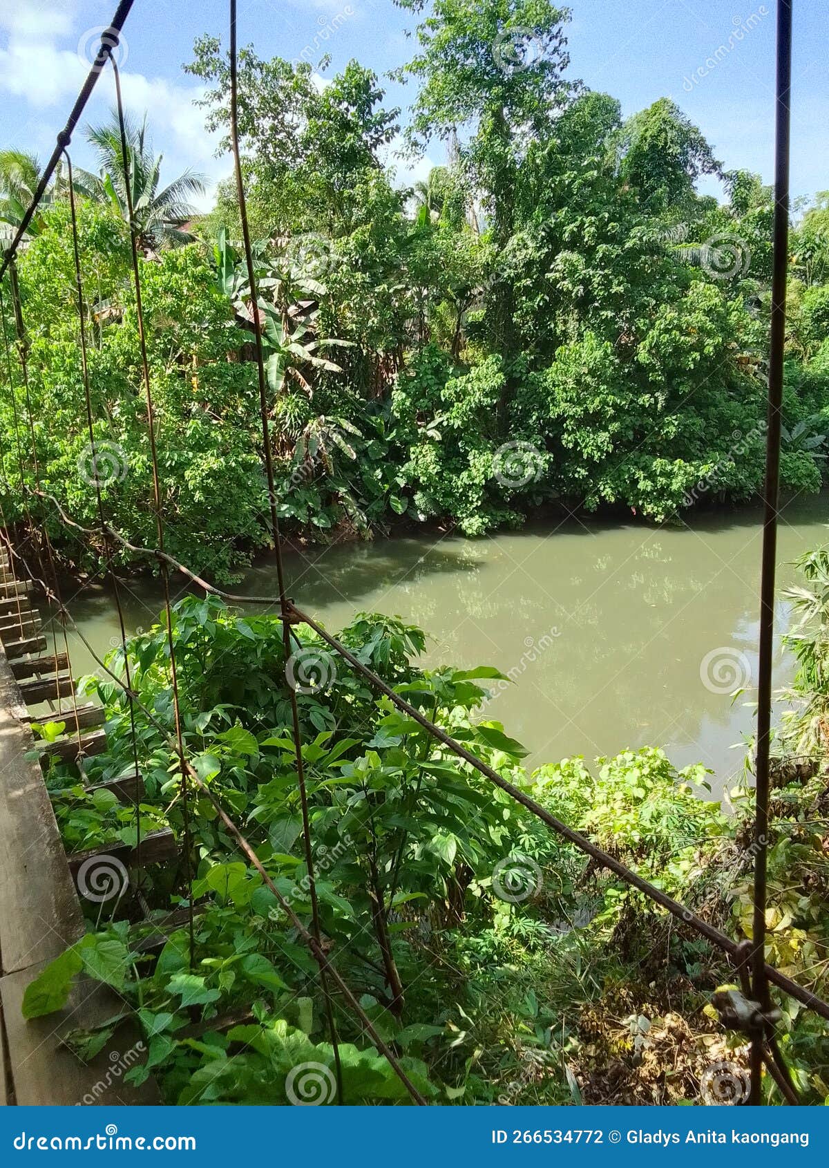One of the Remote River Streams in the Village, Suspension Bridge ...