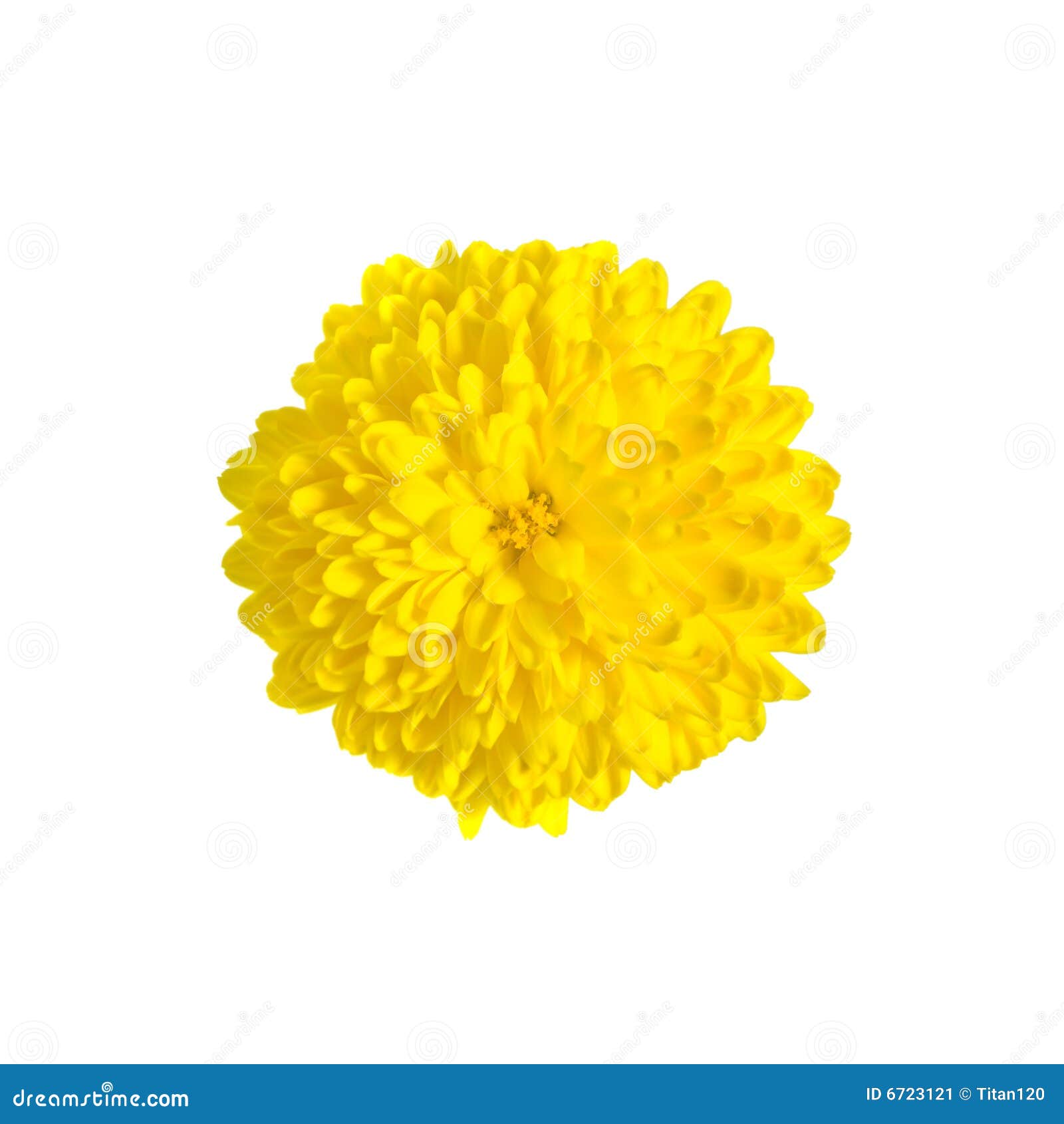 1,791 Rich Yellow Colour Photos - Free & Royalty-Free Stock Photos from ...
