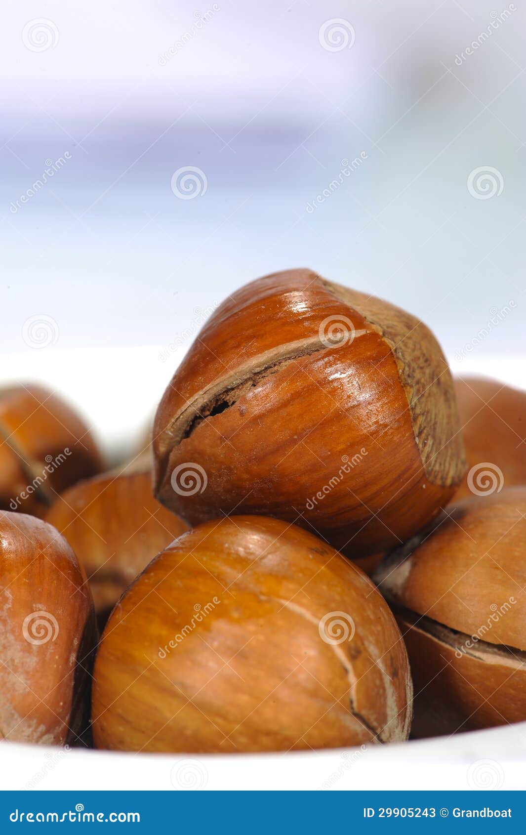 Nuts, hazelnut stock image. Image of white, hazelnuts - 29905243