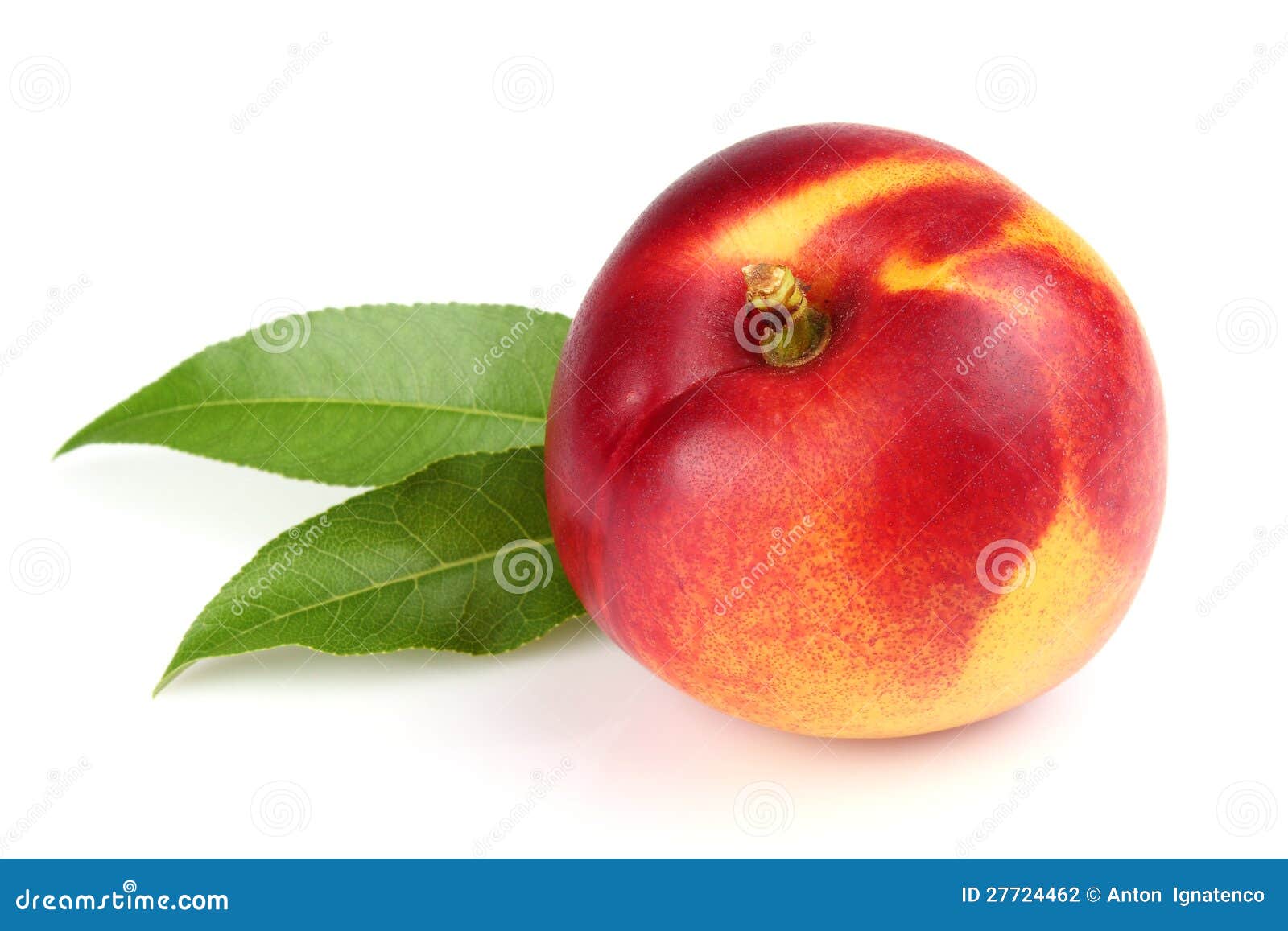 One Ripe Nectarine with Leaves Stock Photo - Image of sweet, white ...