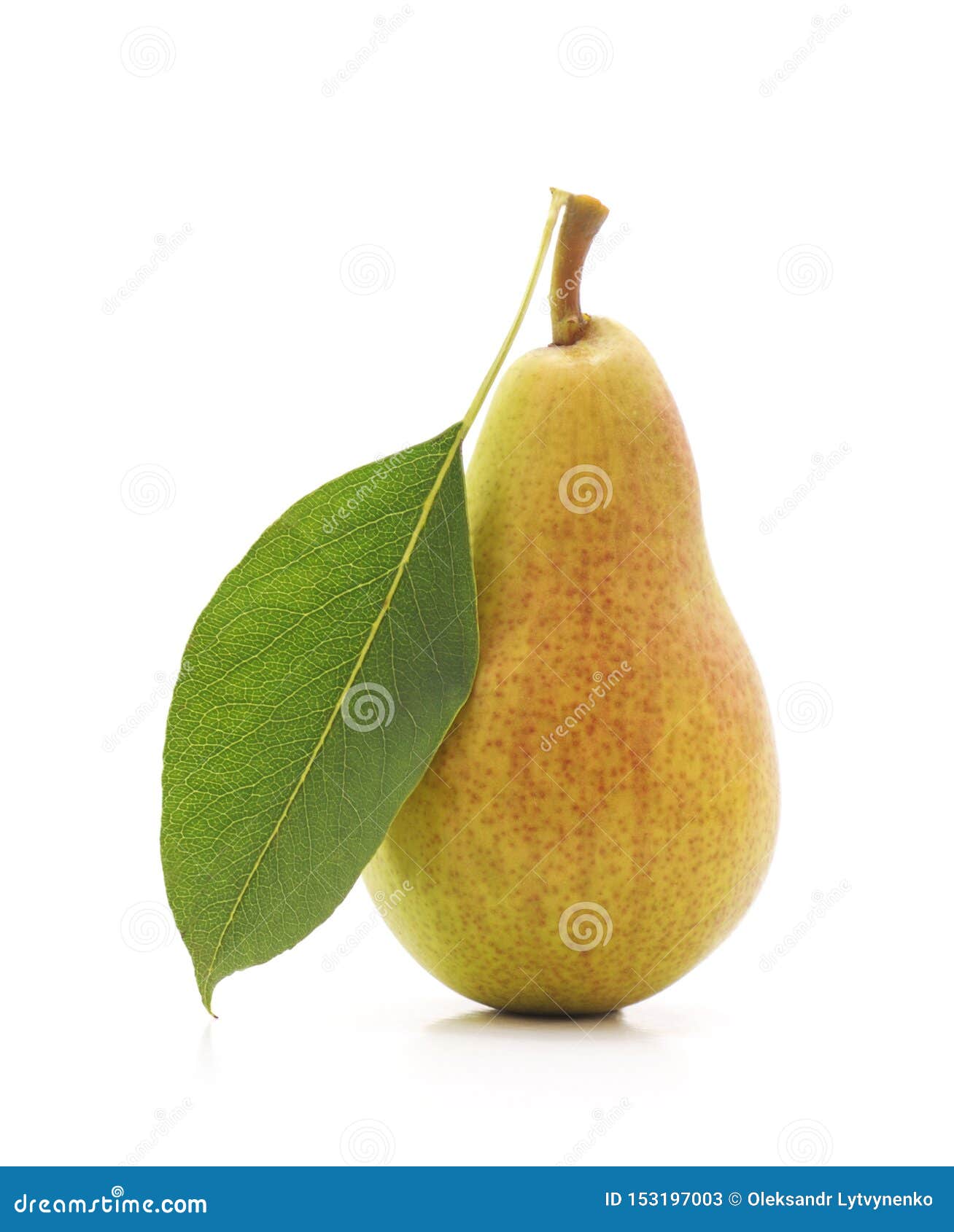 One ripe pear stock image. Image of nature, shape, organic - 153197003