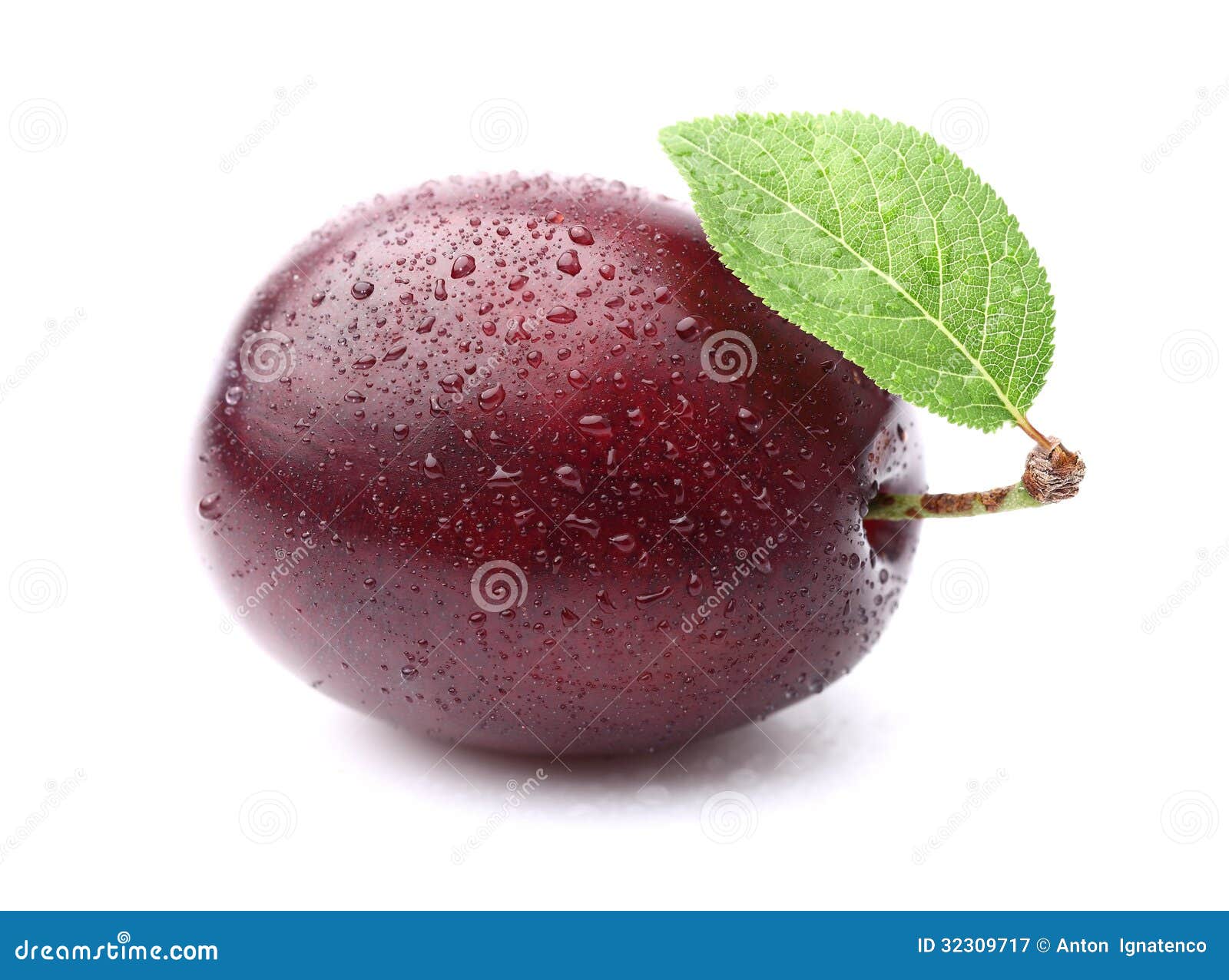 One ripe plum stock image. Image of object, juicy, dessert - 32309717