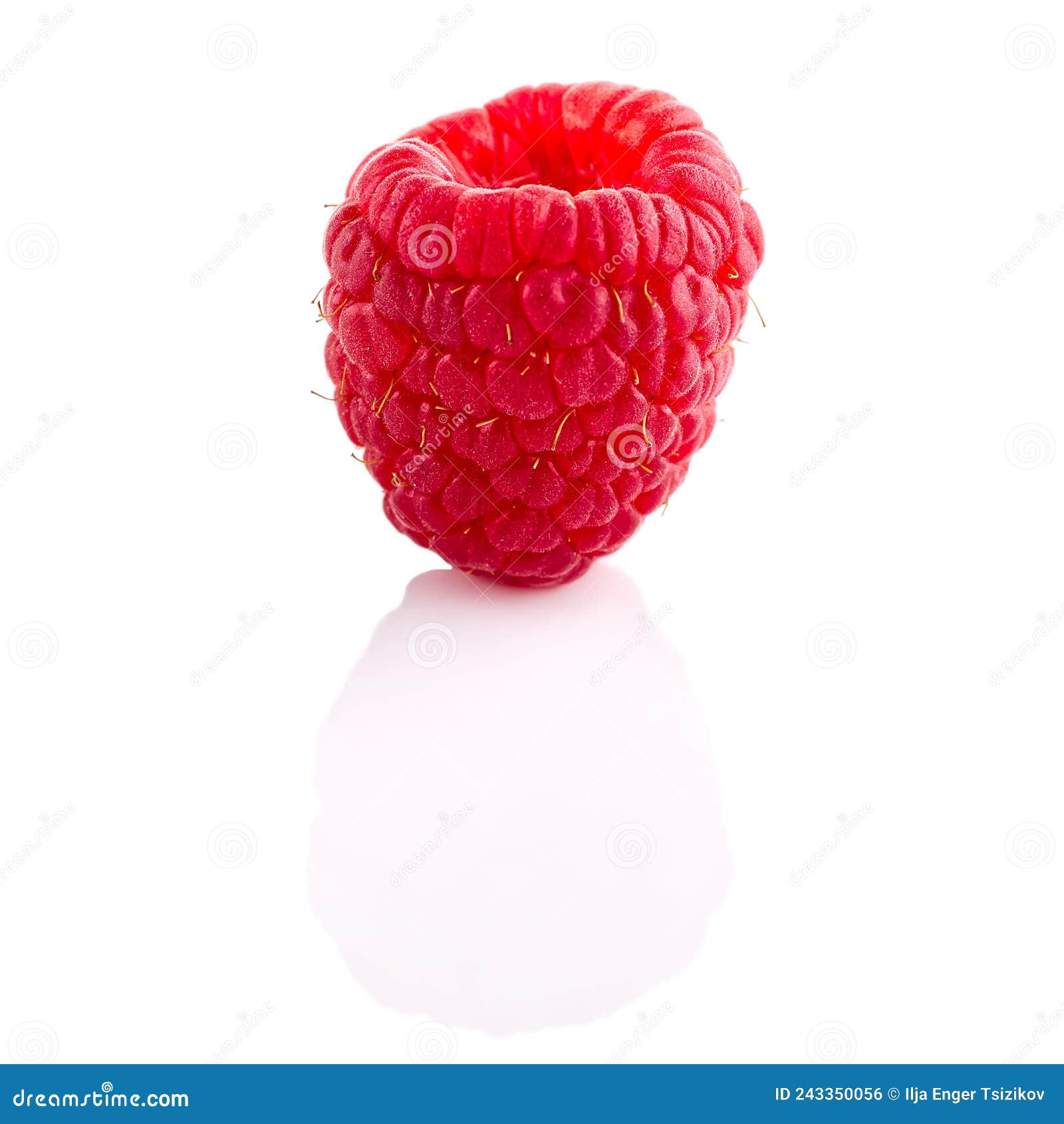 One Ripe Raspberry Isolated on White Backdrop Stock Photo - Image of ...