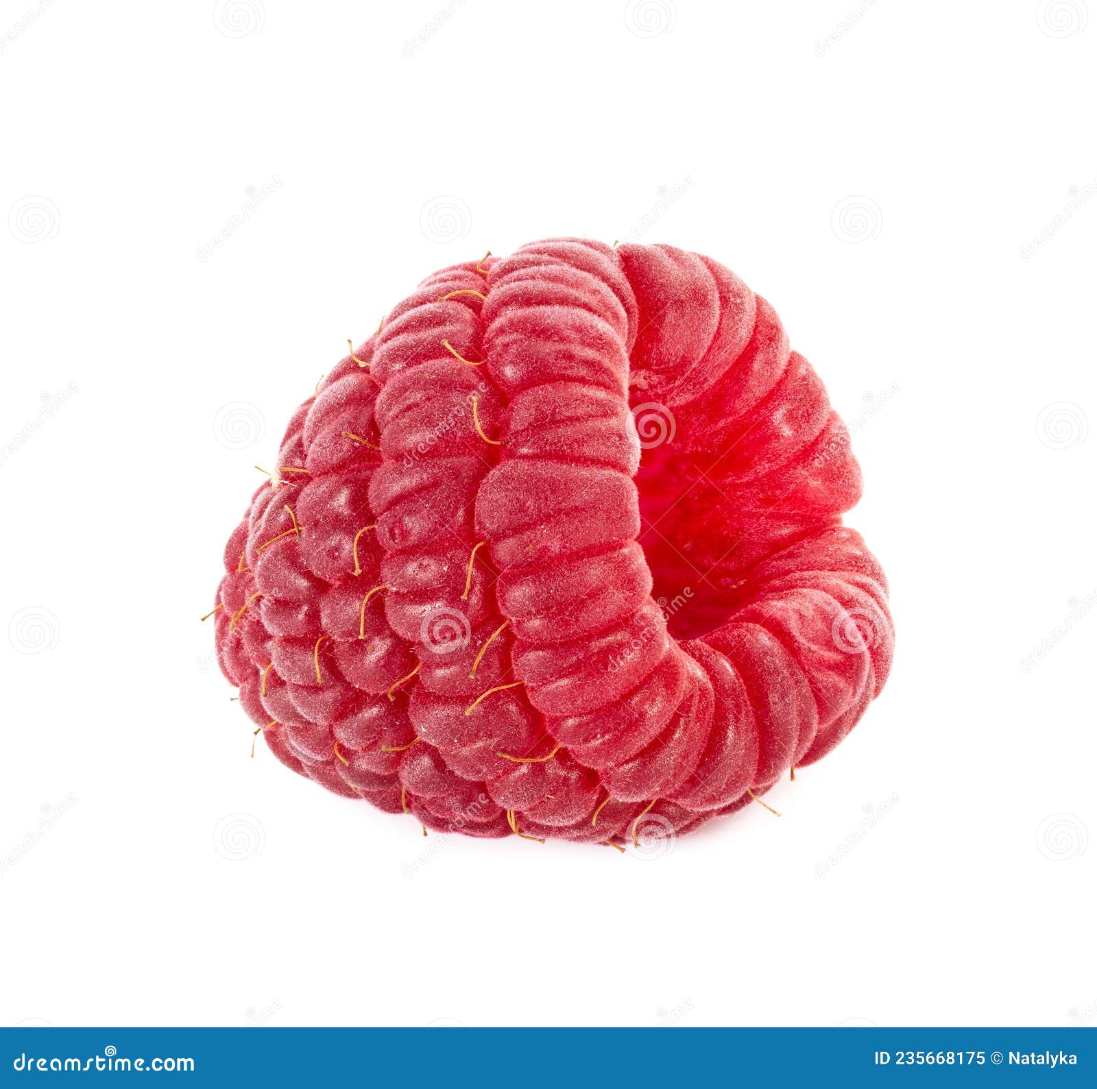 One Ripe Raspberry Isolated on White Background Stock Image - Image of ...