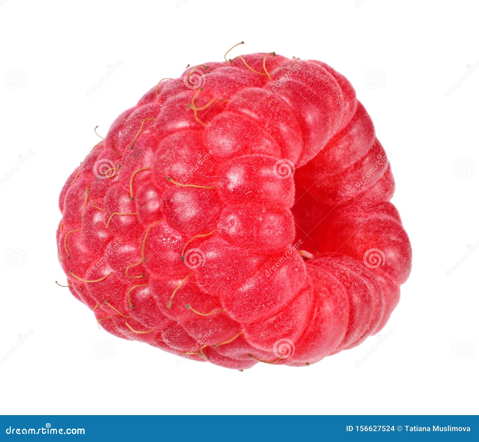 One Ripe Raspberry Isolated on White Background Macro Stock Photo ...