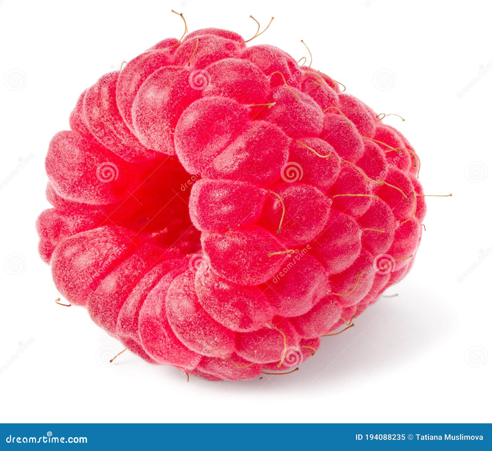 One Ripe Raspberry Isolated on White Background Macro Stock Image ...