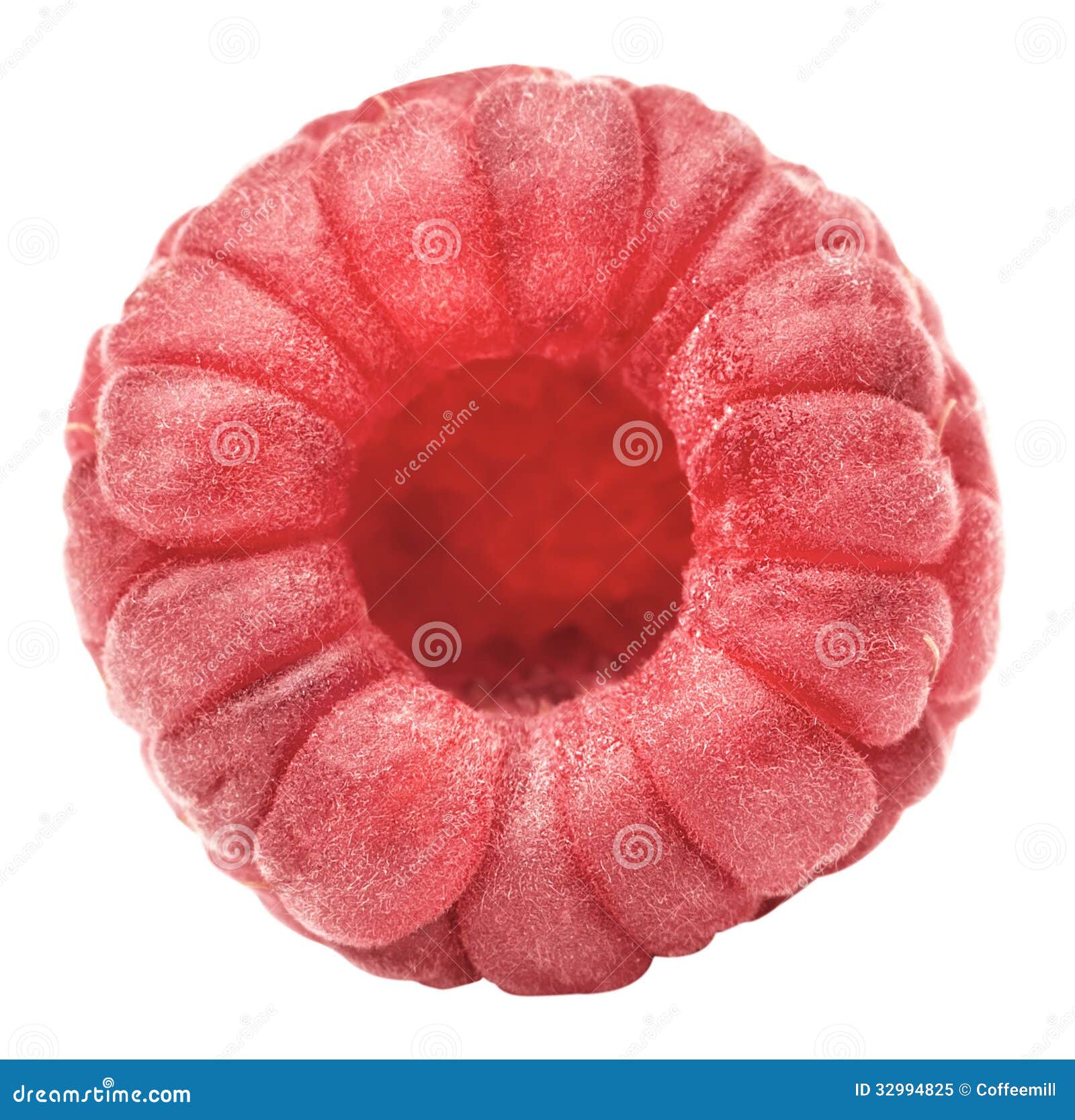 One ripe raspberry stock image. Image of raspberry, isolated - 32994825