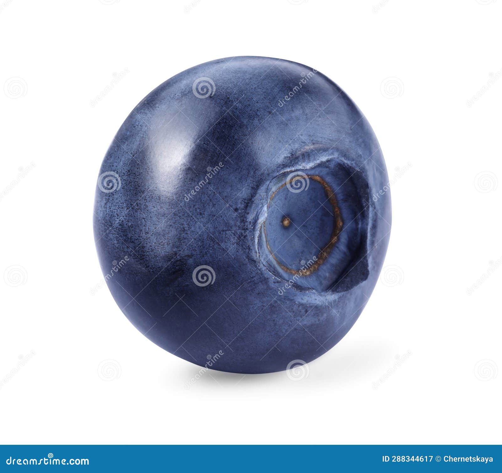 One Ripe Tasty Blueberry Isolated on White Stock Image - Image of fresh ...