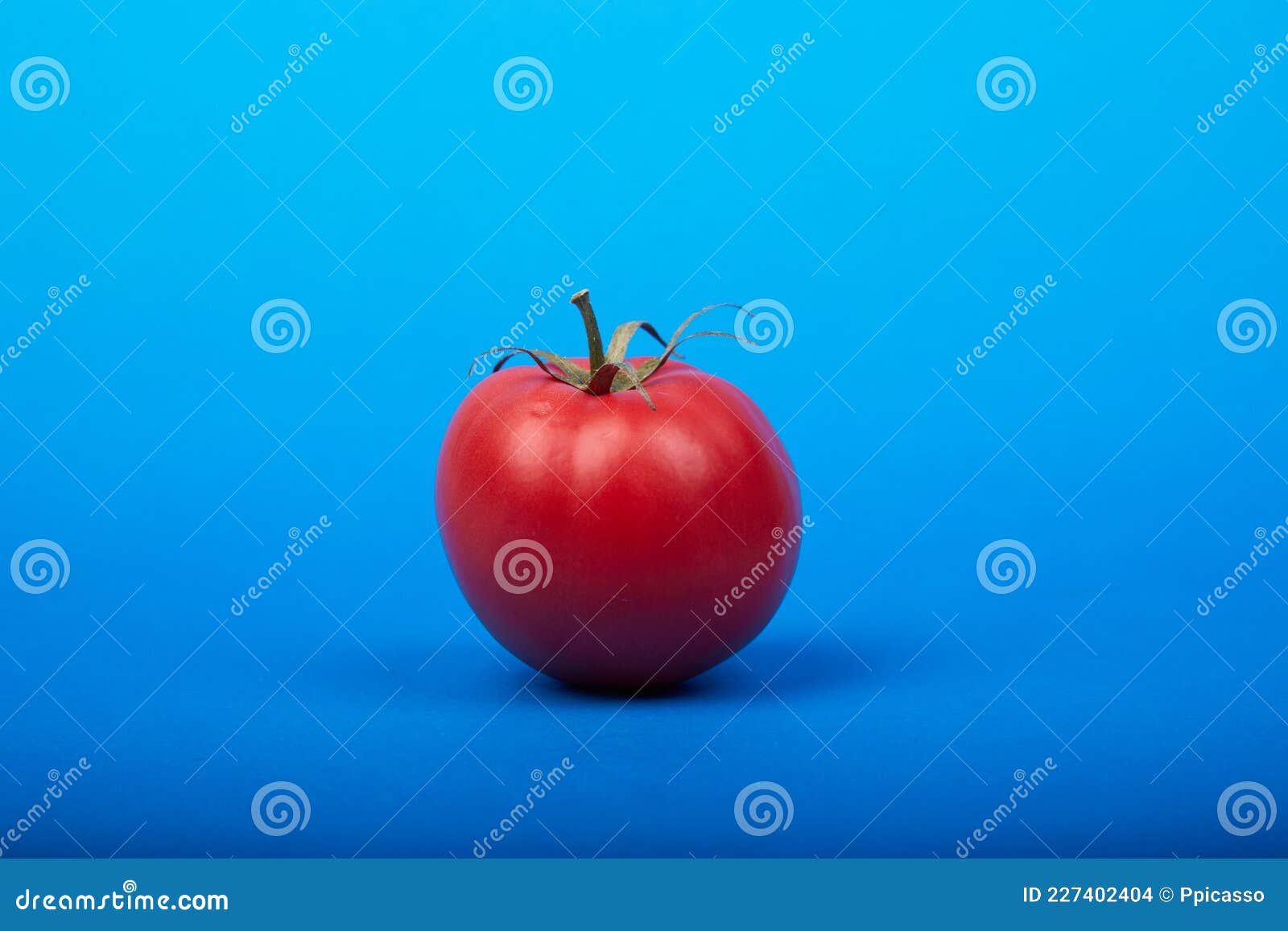 One Ripe Tomato on a Blue Background Stock Photo - Image of organic ...