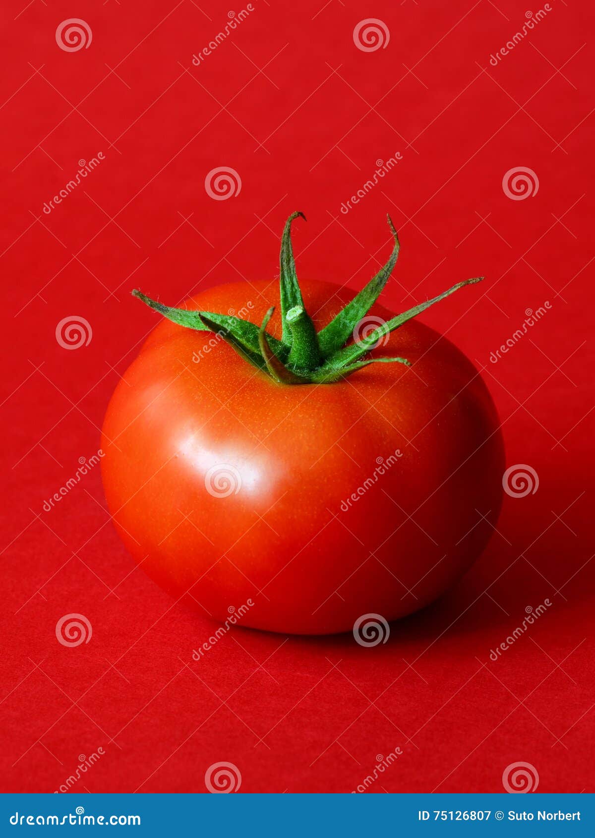 One ripe tomato stock image. Image of color, tomato, fresh - 75126807