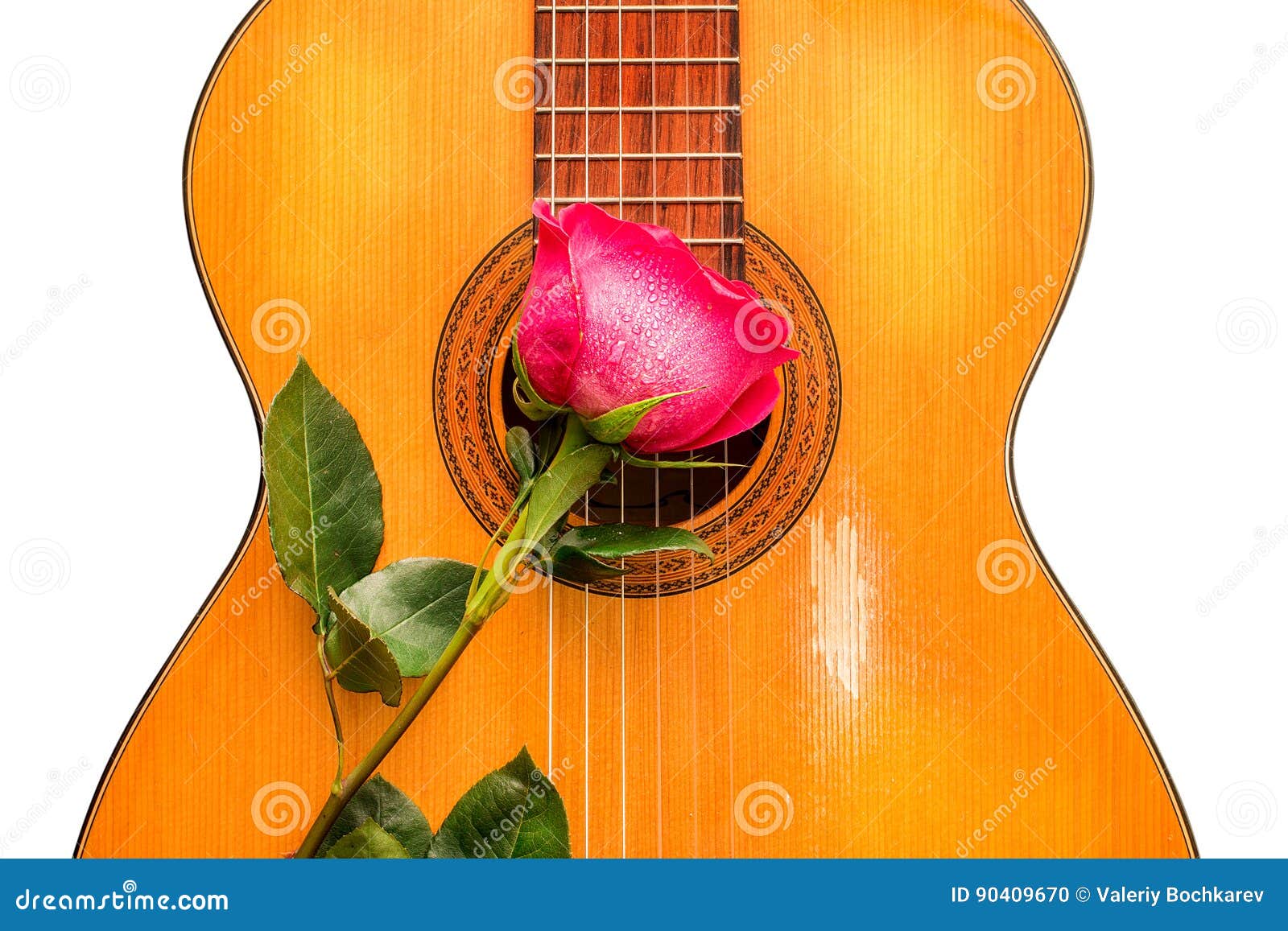 One Rose on the Old Classical Guitar Stock Photo - Image of pink ...