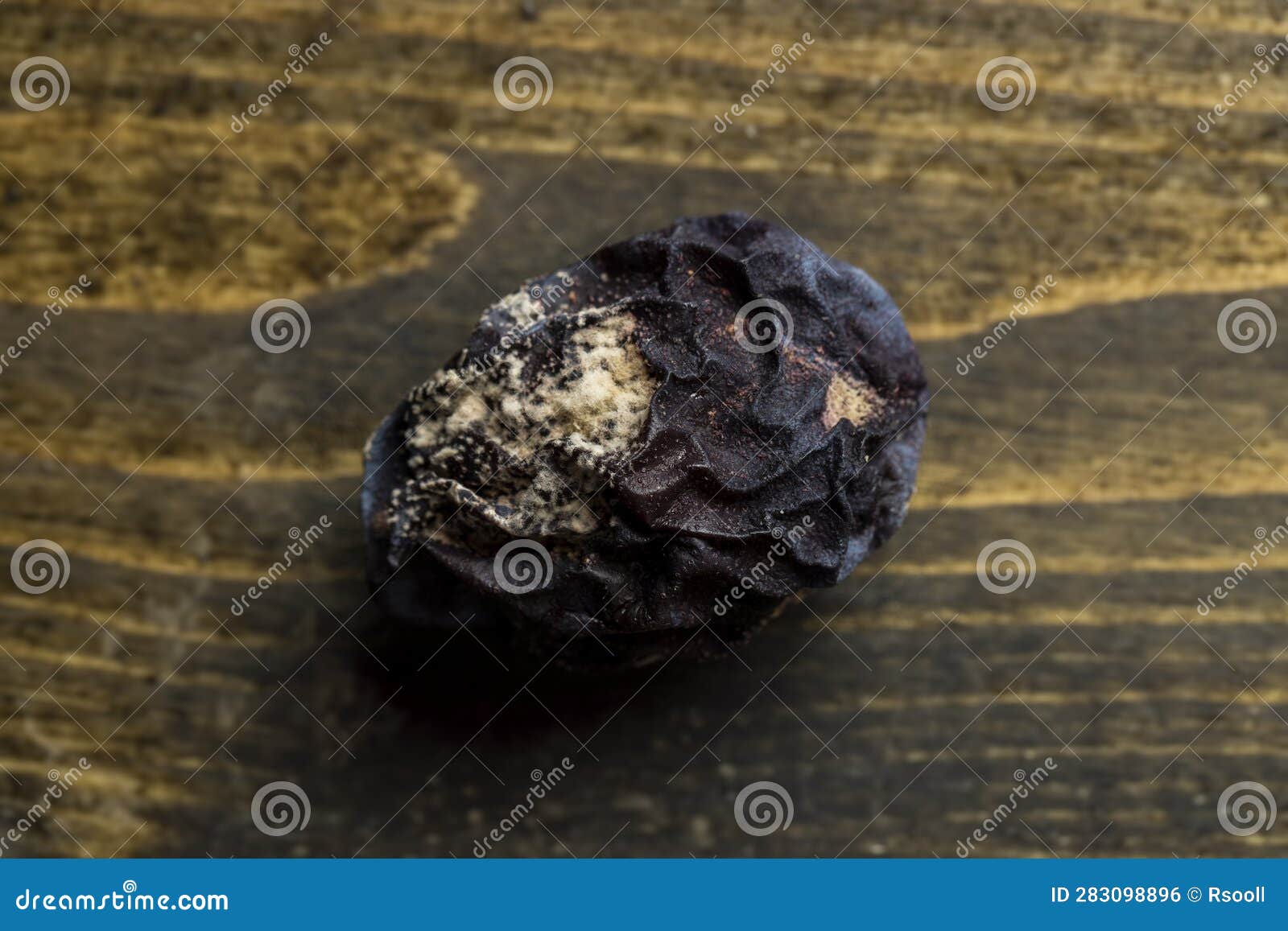 Rotten And Mold Egg Royalty-Free Stock Image | CartoonDealer.com #136495804