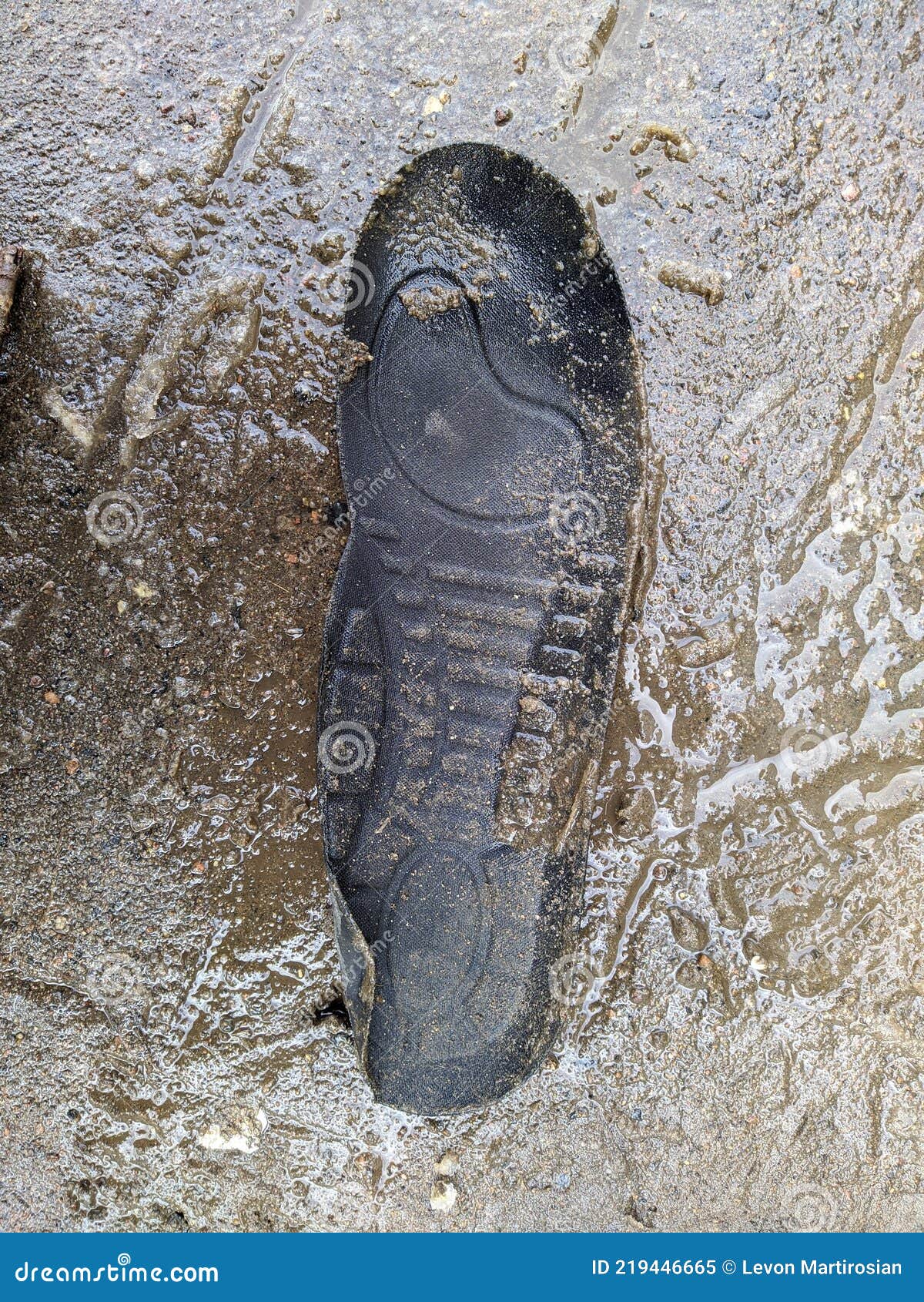 Splayfeet Stock Photos - Free & Royalty-Free Stock Photos from Dreamstime