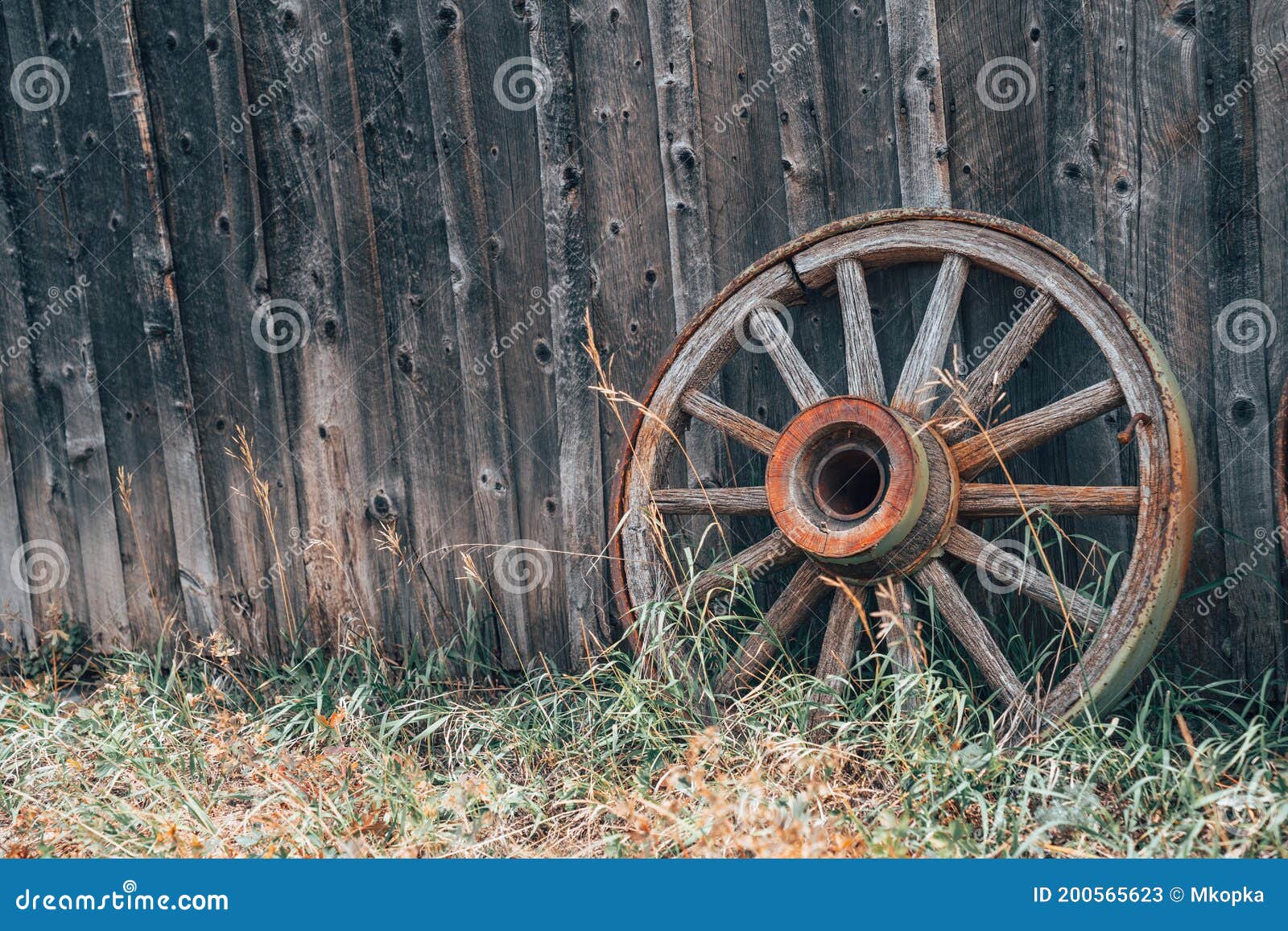 One Rusty Wagon Wheels Against a Wooden Wall, with Grass. Useful for ...