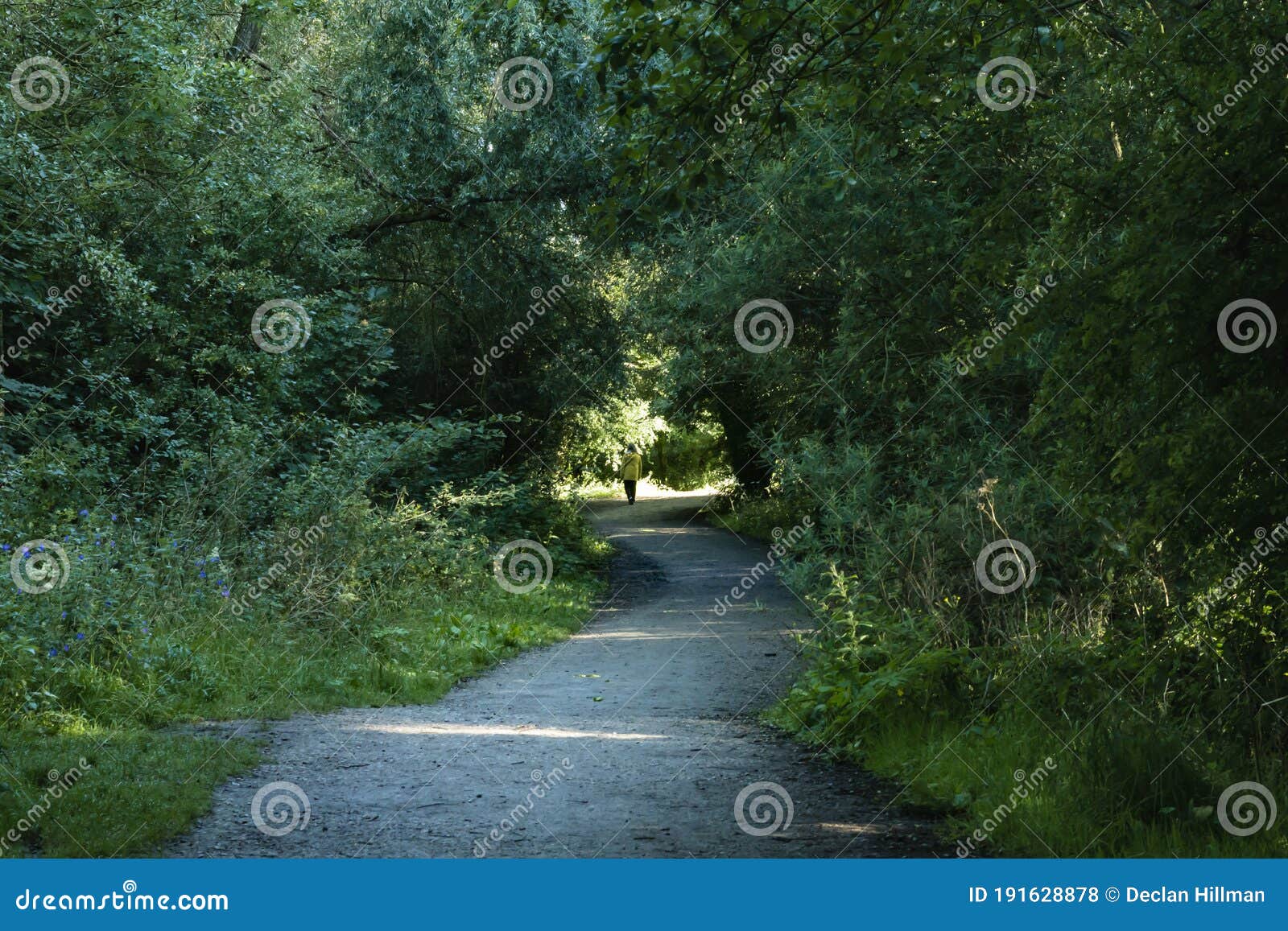 One`s Path is Never Straight Forward Stock Photo - Image of 200hectare ...