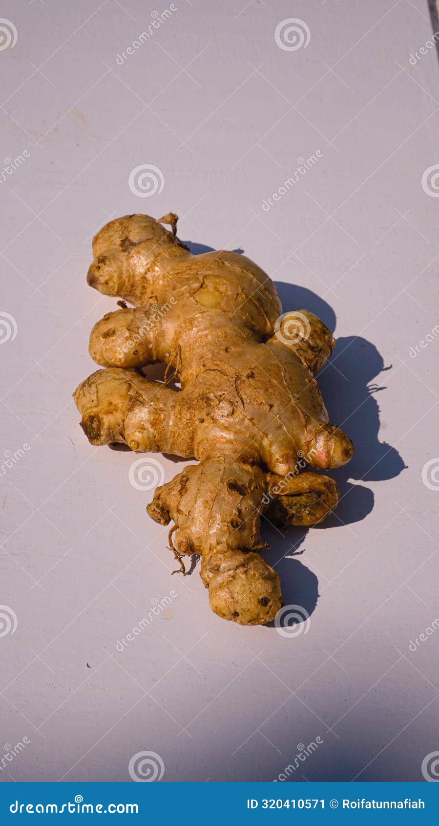 One Segment of Ginger Lying on a Wooden Board. Stock Image - Image of ...