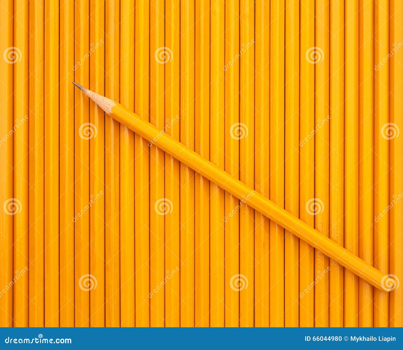 One sharp pencil stock photo. Image of orange, simple - 66044980