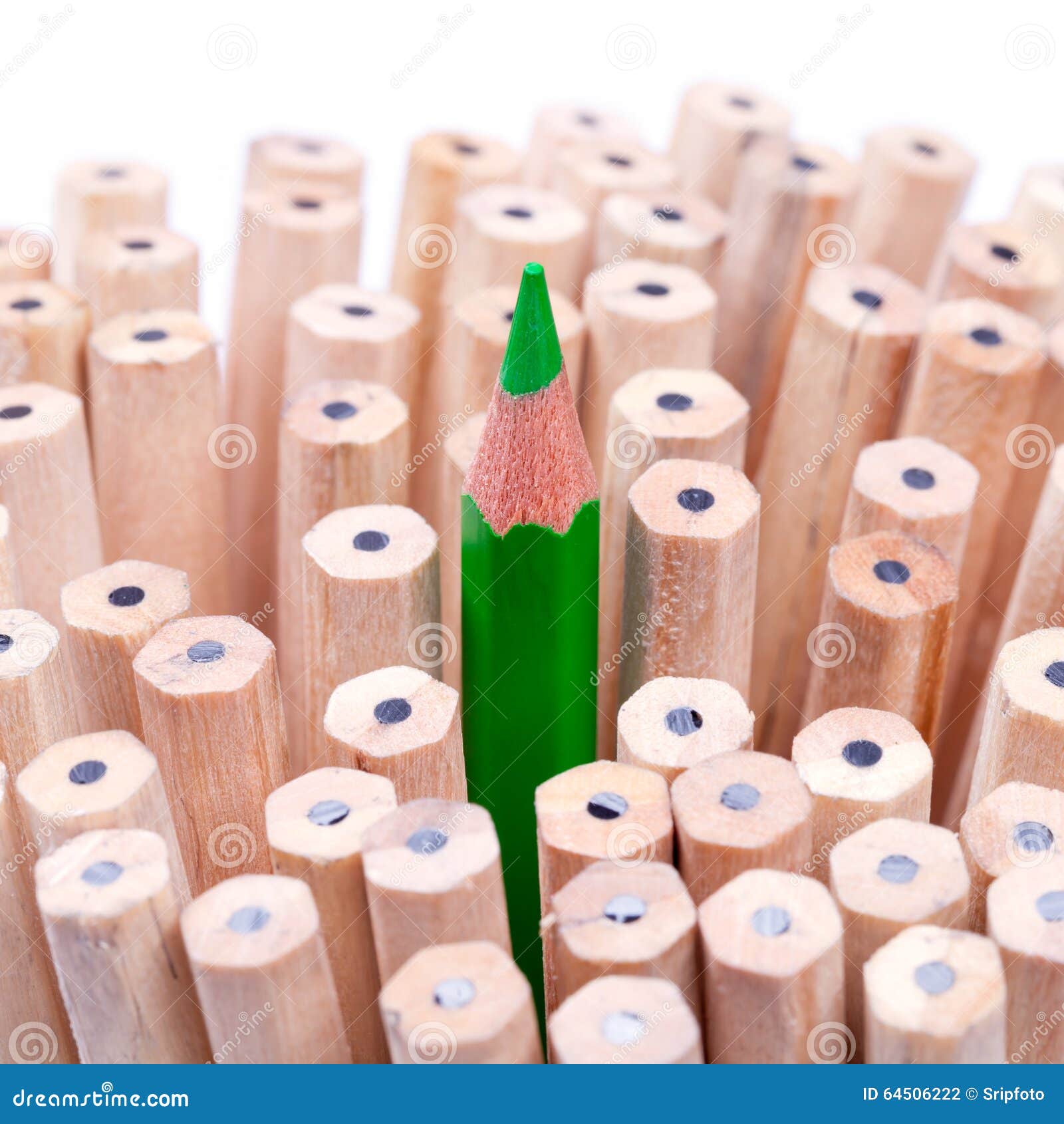 One Sharpened Green Pencil among Many Ones Stock Photo - Image of ...