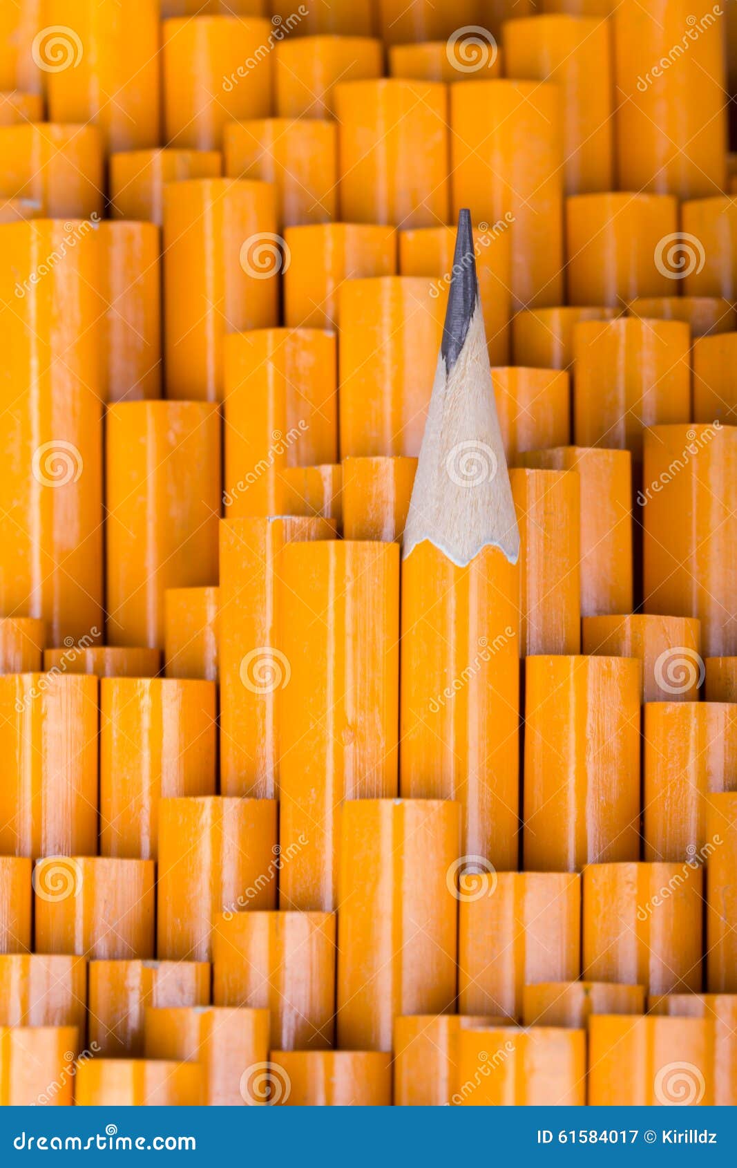 One Sharpened Pencil among Many Blunt Stock Image - Image of single ...