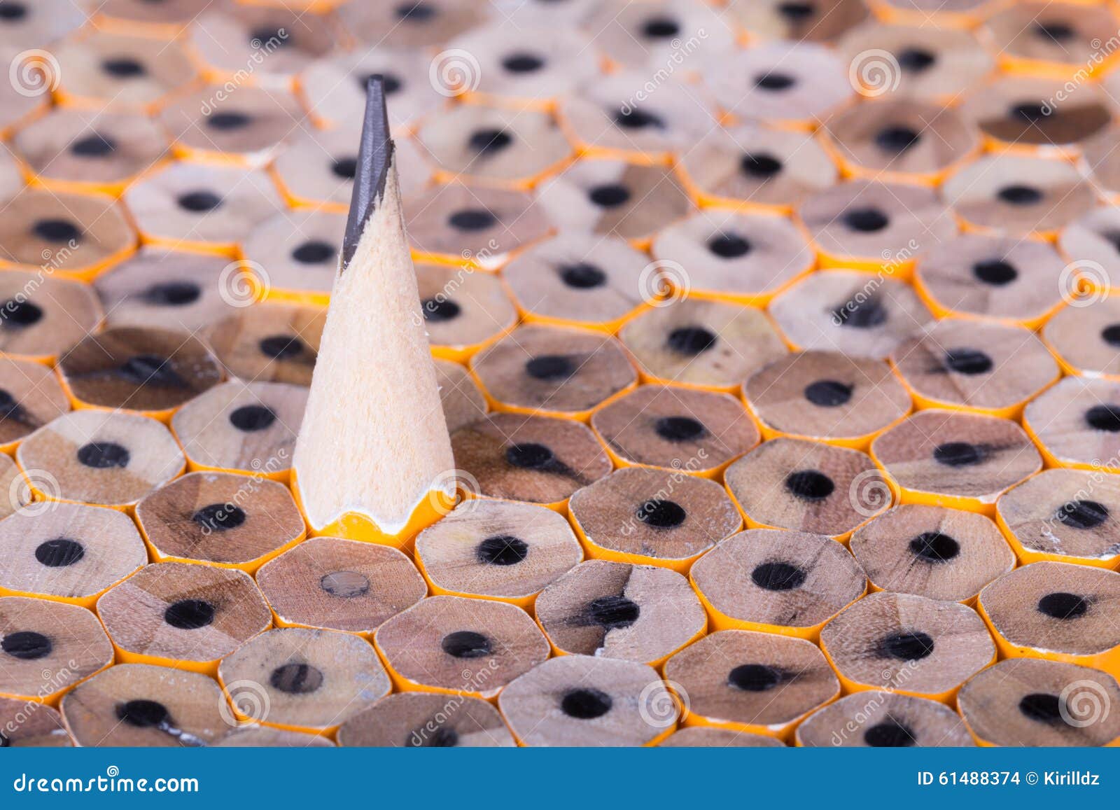 One Sharpened Pencil among Many Not Sharp Stock Photo - Image of ...