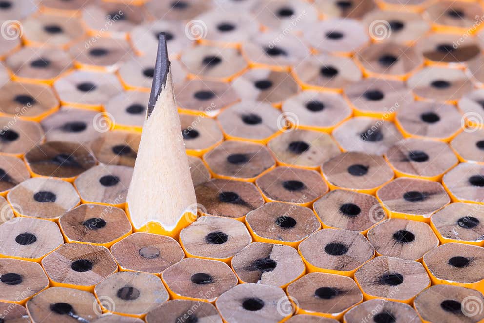 One Sharpened Pencil among Many Not Sharp Stock Photo - Image of ...