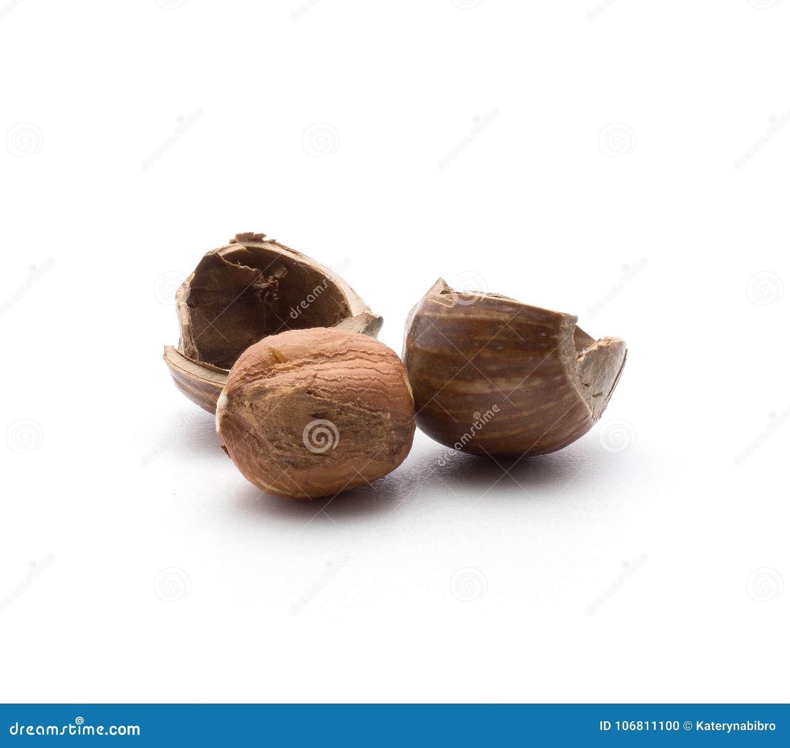 Fresh Hazelnut isolated stock photo. Image of hazel - 106811100