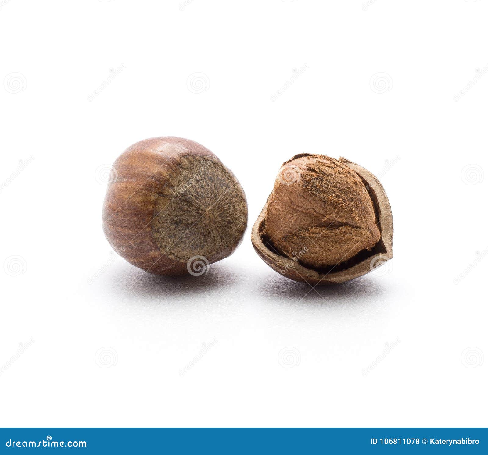 Fresh Hazelnut isolated stock photo. Image of elongated - 106811078