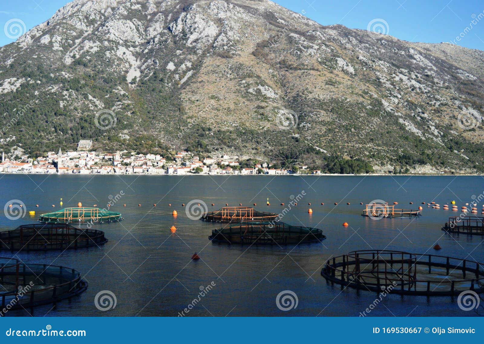 Shellfish farm in the sea stock image. Image of europe - 169530667