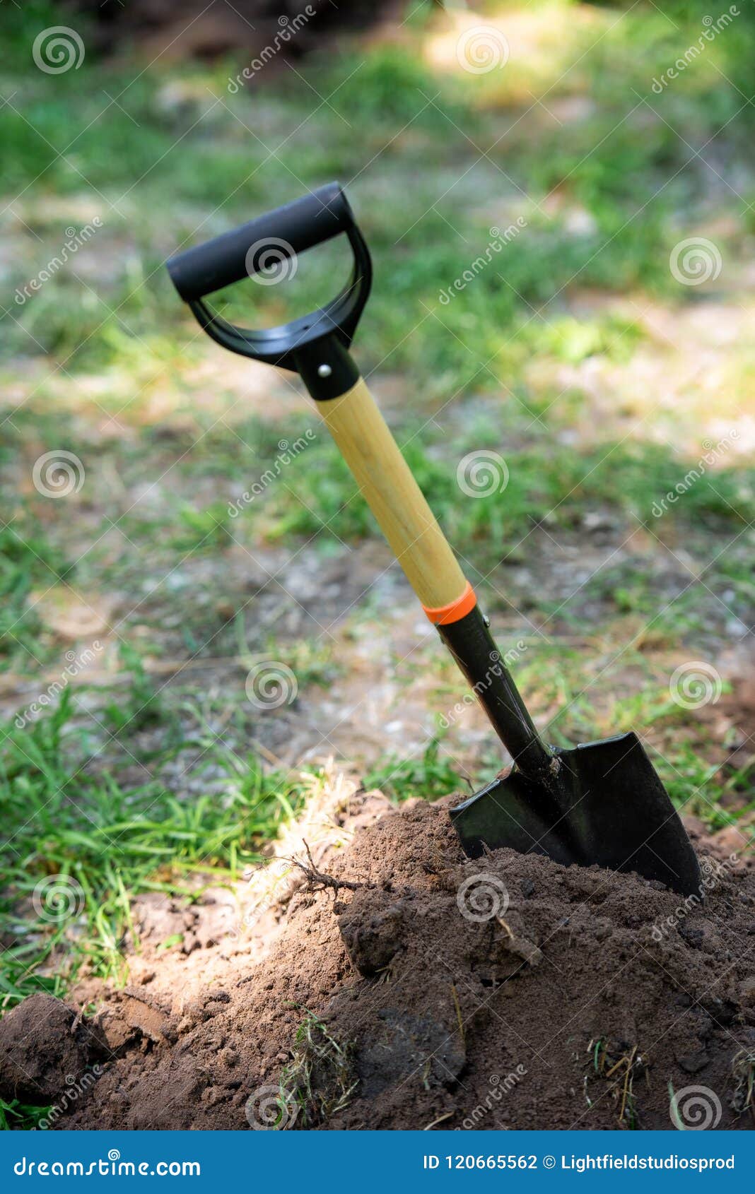 One Shovel in Soil for Planting Stock Photo - Image of resource ...