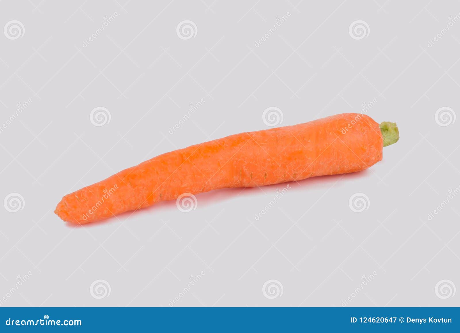 One Single Carrot Isolated on White. Stock Image - Image of macro, farm ...