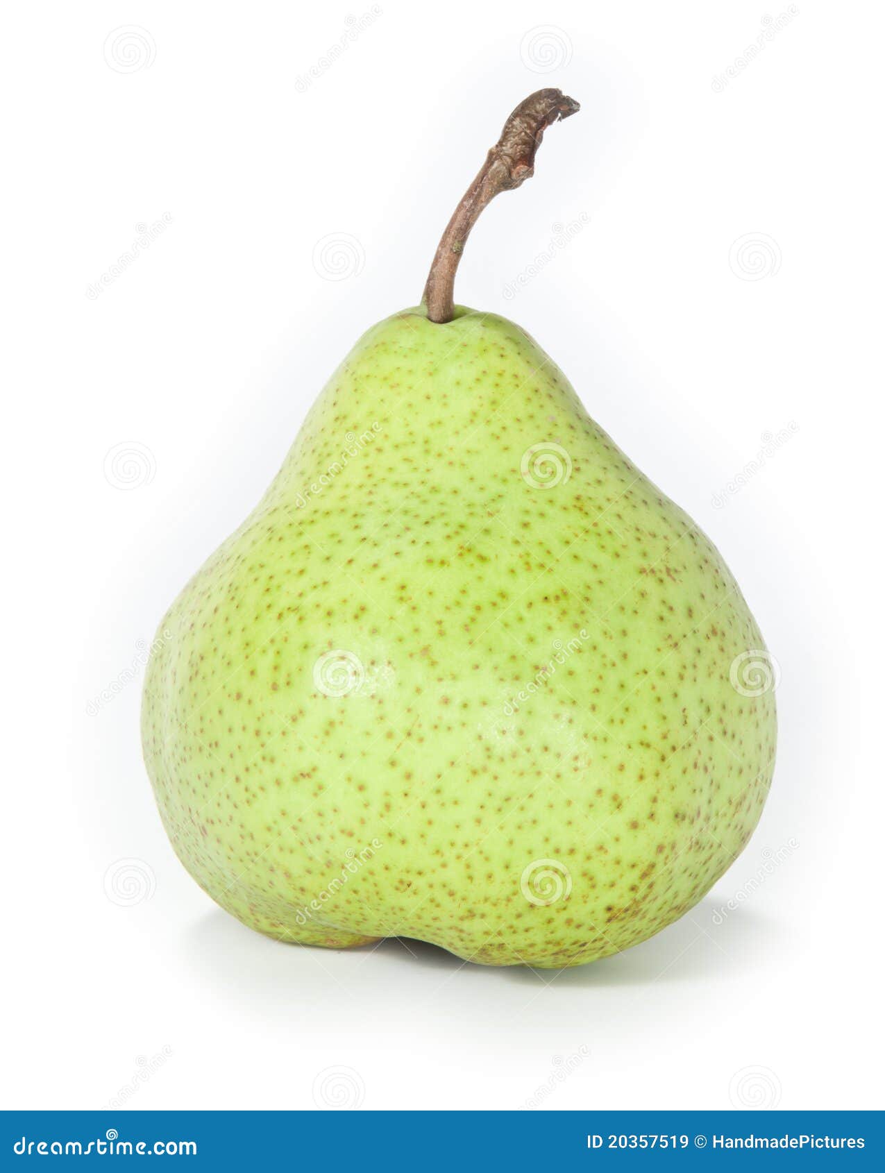 One single isolated pear stock image. Image of closeup - 20357519