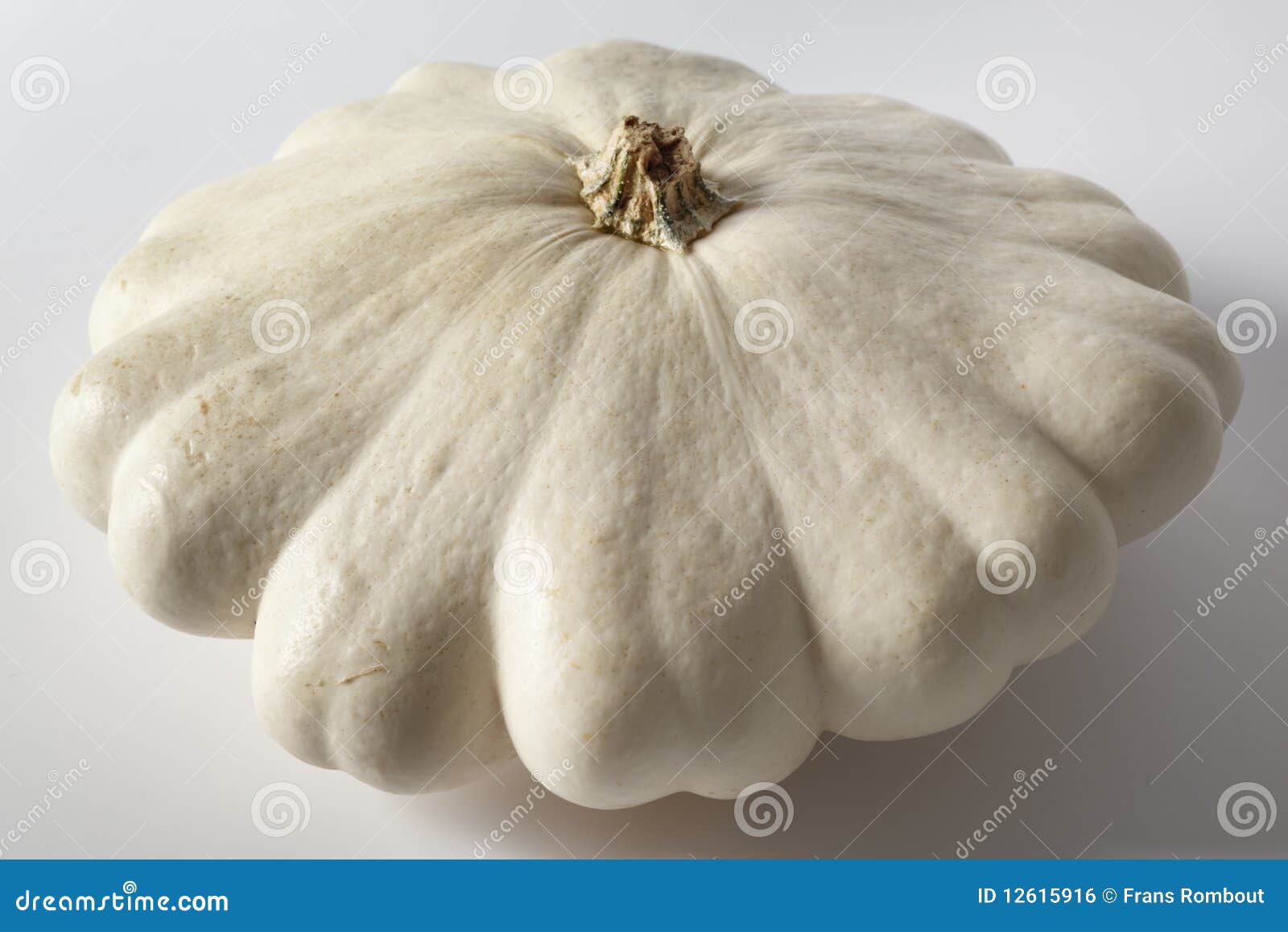 199 White Patison Stock Photos - Free & Royalty-Free Stock Photos from ...