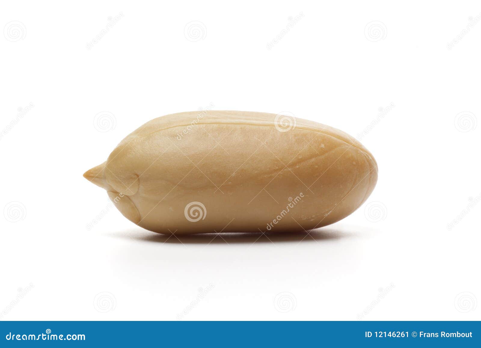 One single peeled peanut stock image. Image of roasted - 12146261
