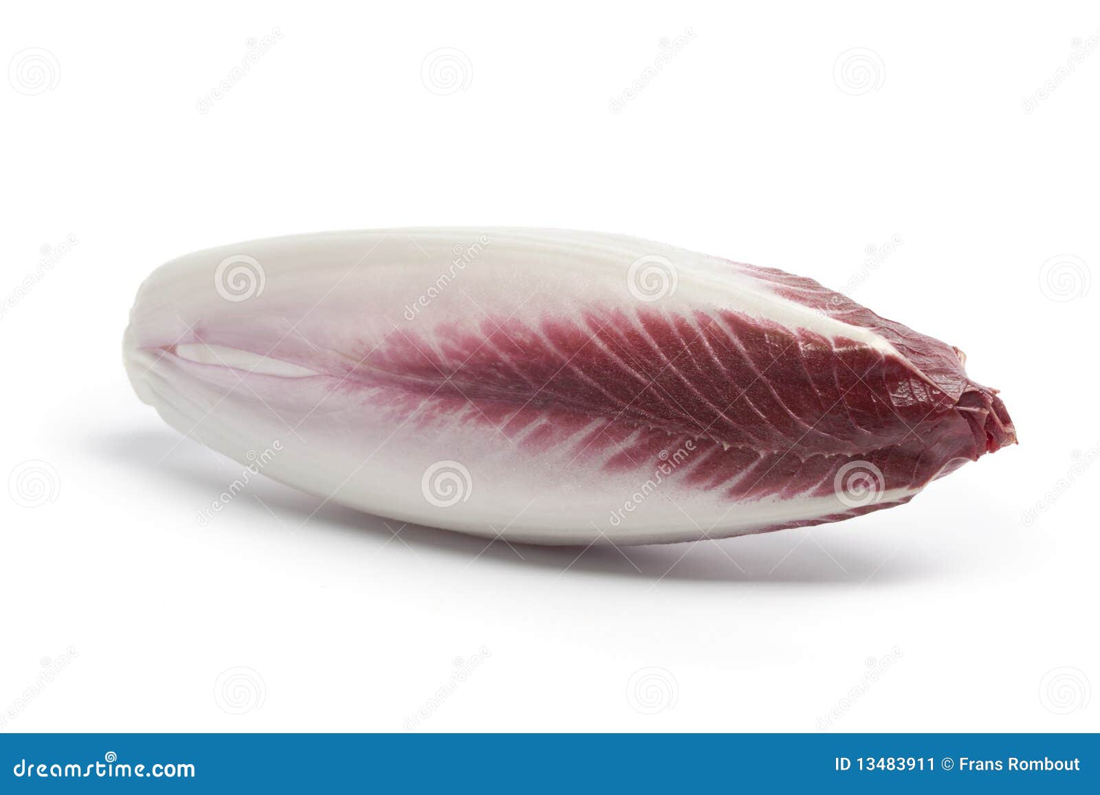 3,837 Red Chicory Stock Photos - Free & Royalty-Free Stock Photos from ...