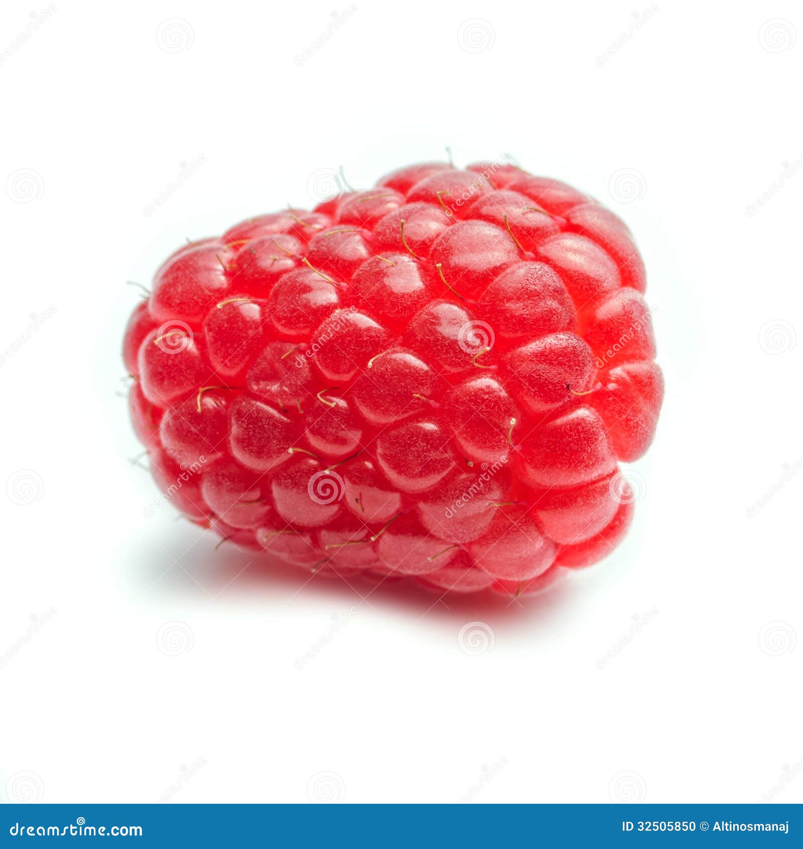 One Single Raspberry Against a White Background Stock Photo - Image of ...