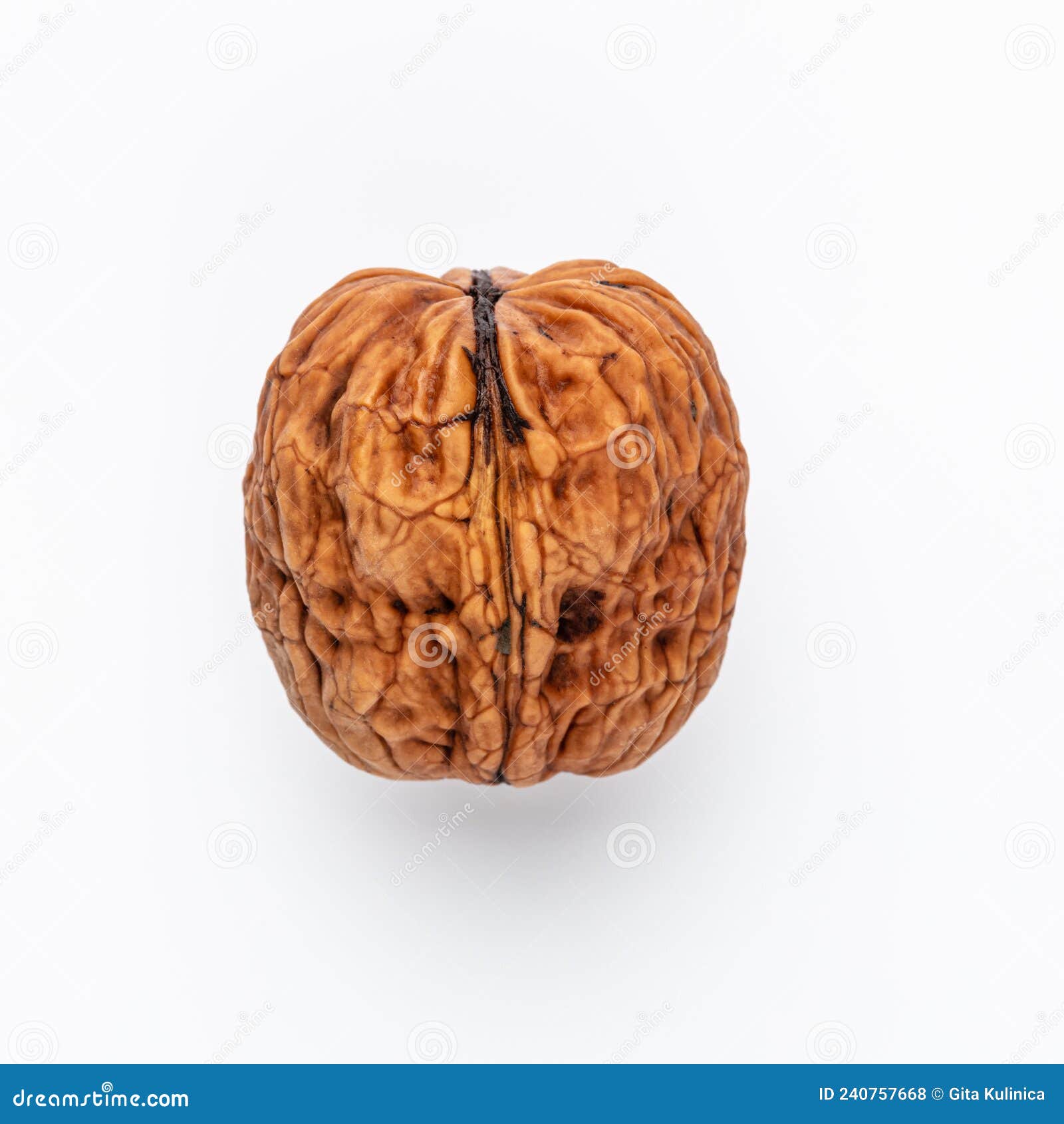 One Single Walnut on White Background Stock Photo - Image of group ...