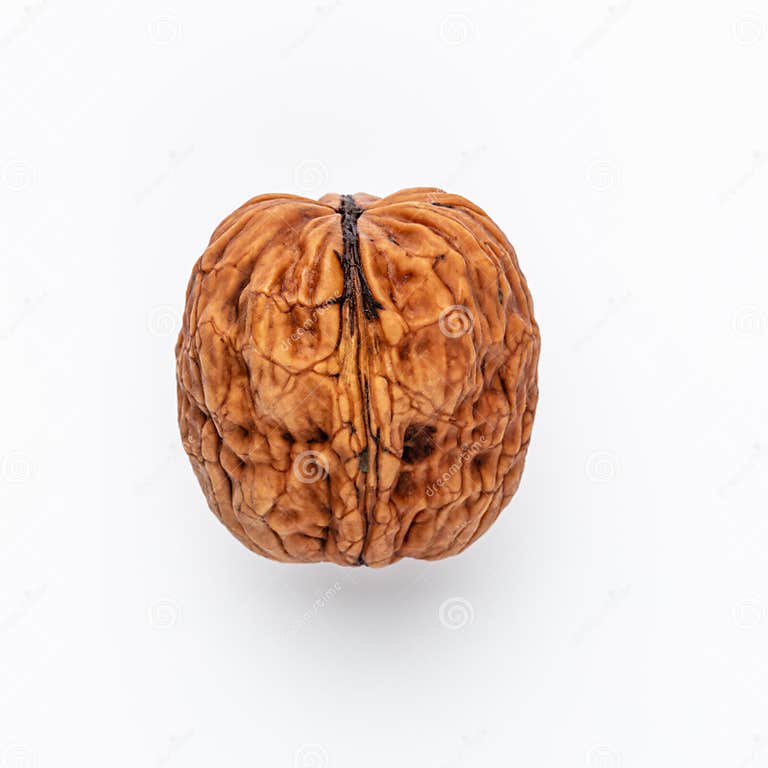 One Single Walnut on White Background Stock Photo - Image of group ...