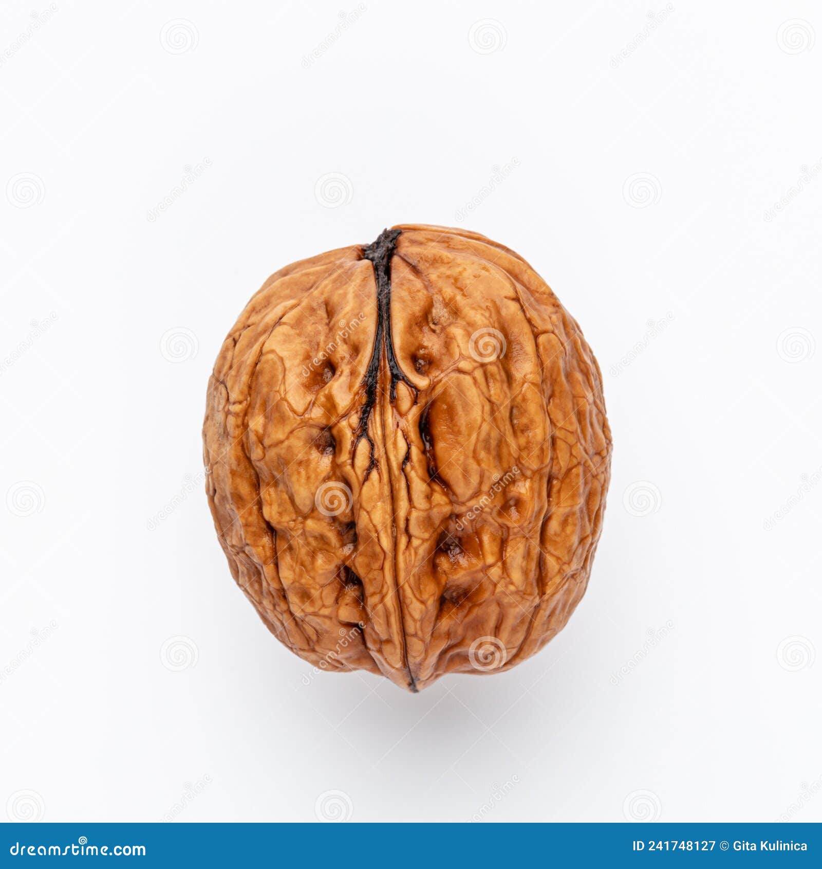 One Single Walnut on White Background Stock Image - Image of ingredient ...