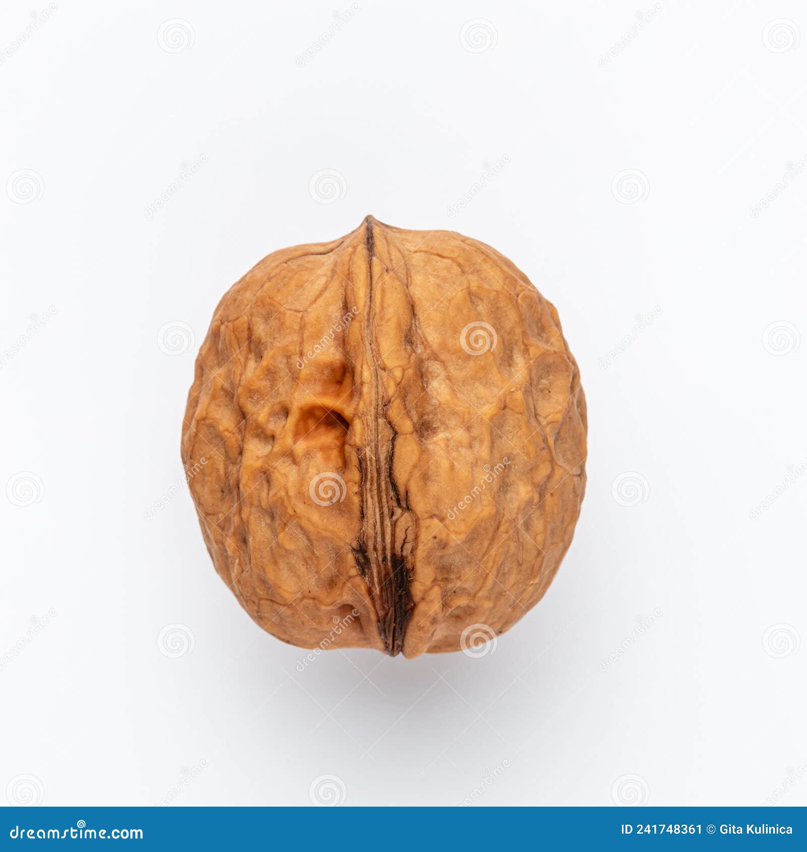 One Single Walnut on White Background Stock Image - Image of closeup ...