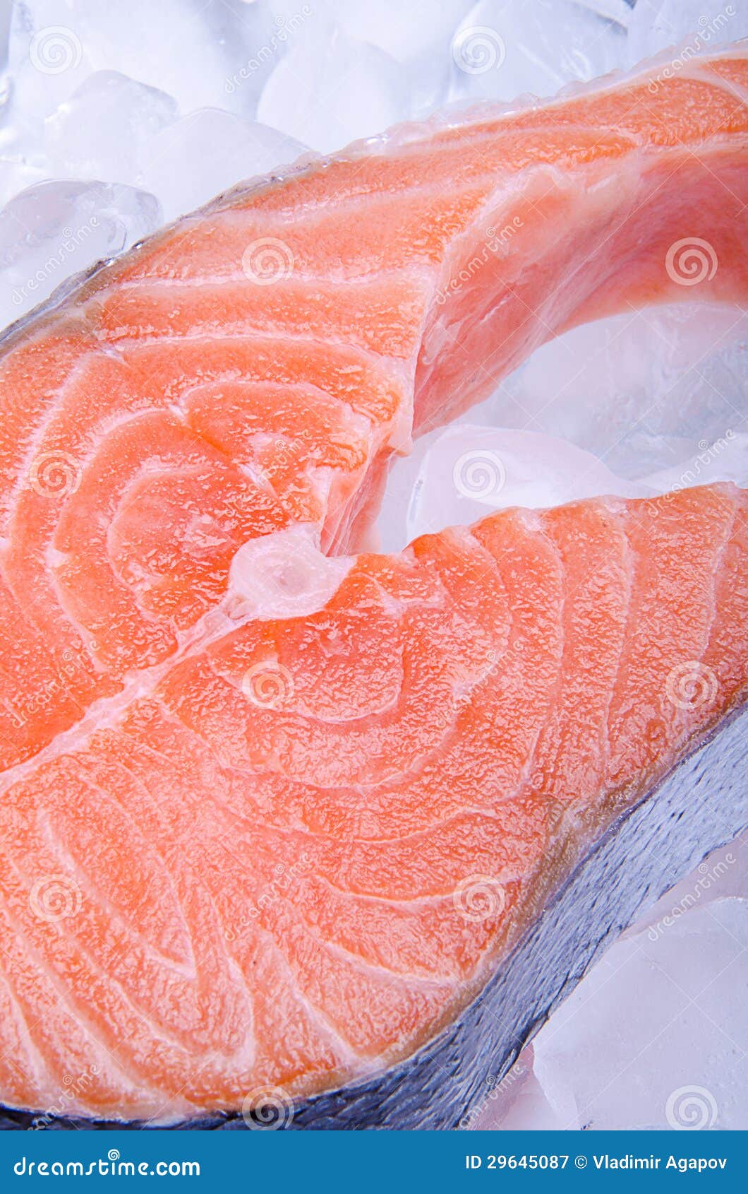 One Slice of Red Fish - Salmon, on Ice Stock Image - Image of cutting ...