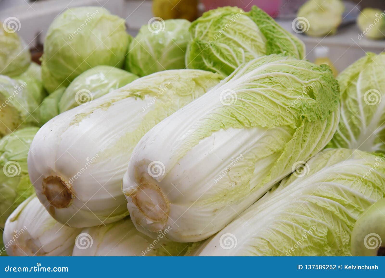 Cabbage stock photo. Image of macro, cabbage, food, close - 137589262