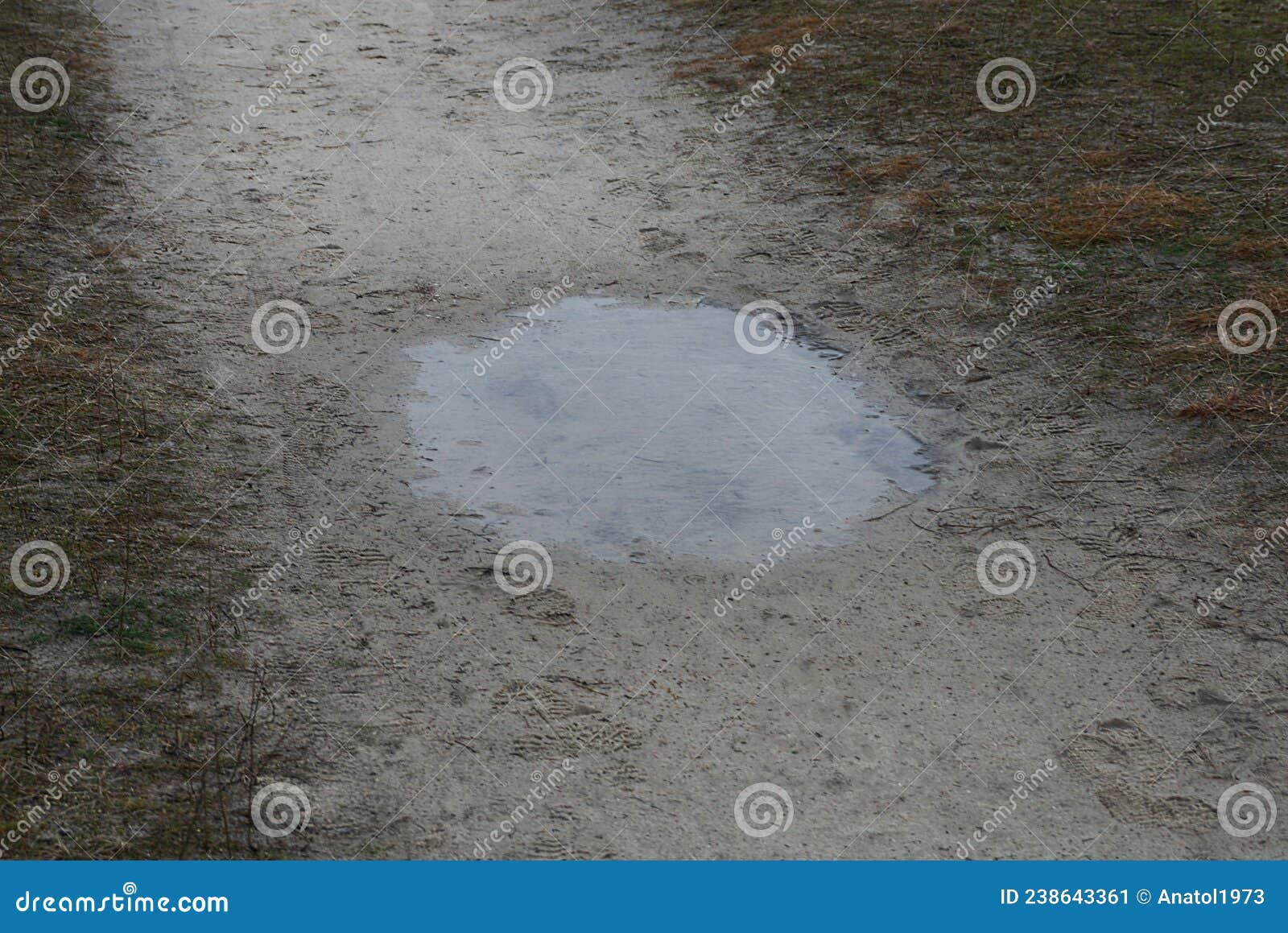 One Small Puddle of Water on the Gray Earth Stock Image - Image of ...