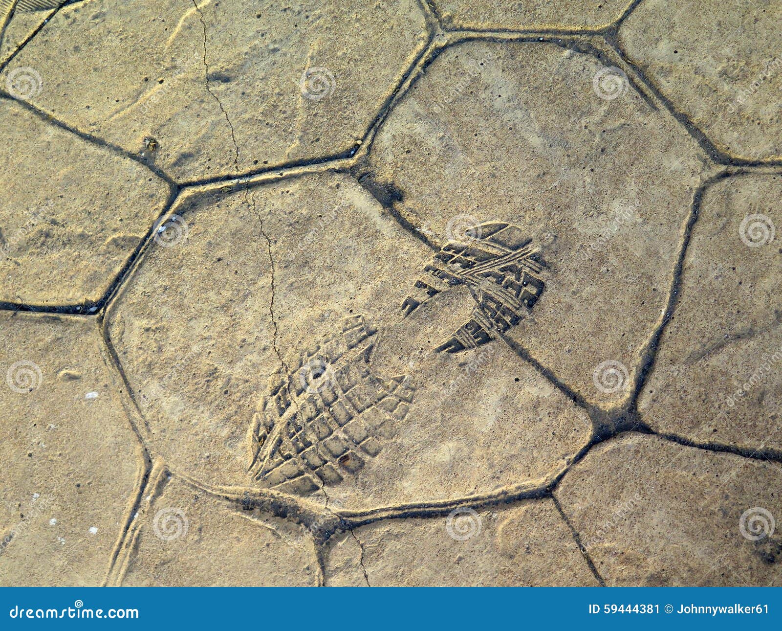 One small step stock image. Image of thread, shoe, footprint - 59444381