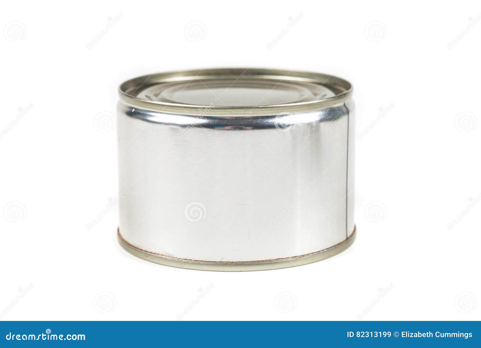 One small tin can stock image. Image of preservatives - 82313199