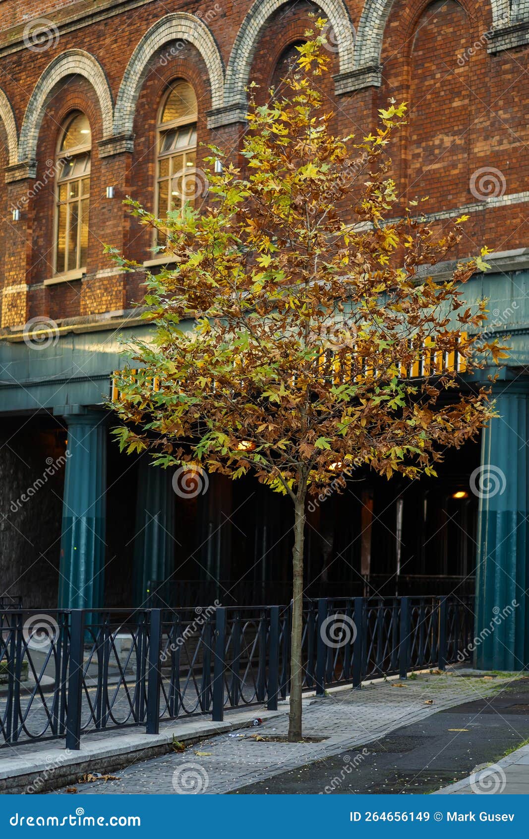 One Small Tree Grows in a Concrete Pavement in a City. Vertical Image ...