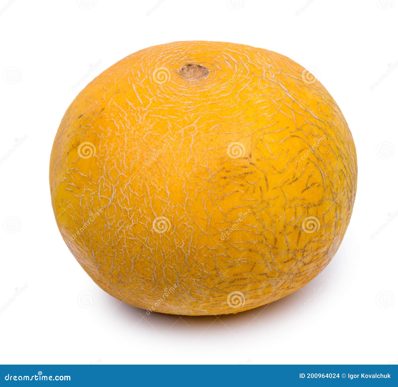 One Small Whole Yellow Melon Stock Photo - Image of delicious, large ...