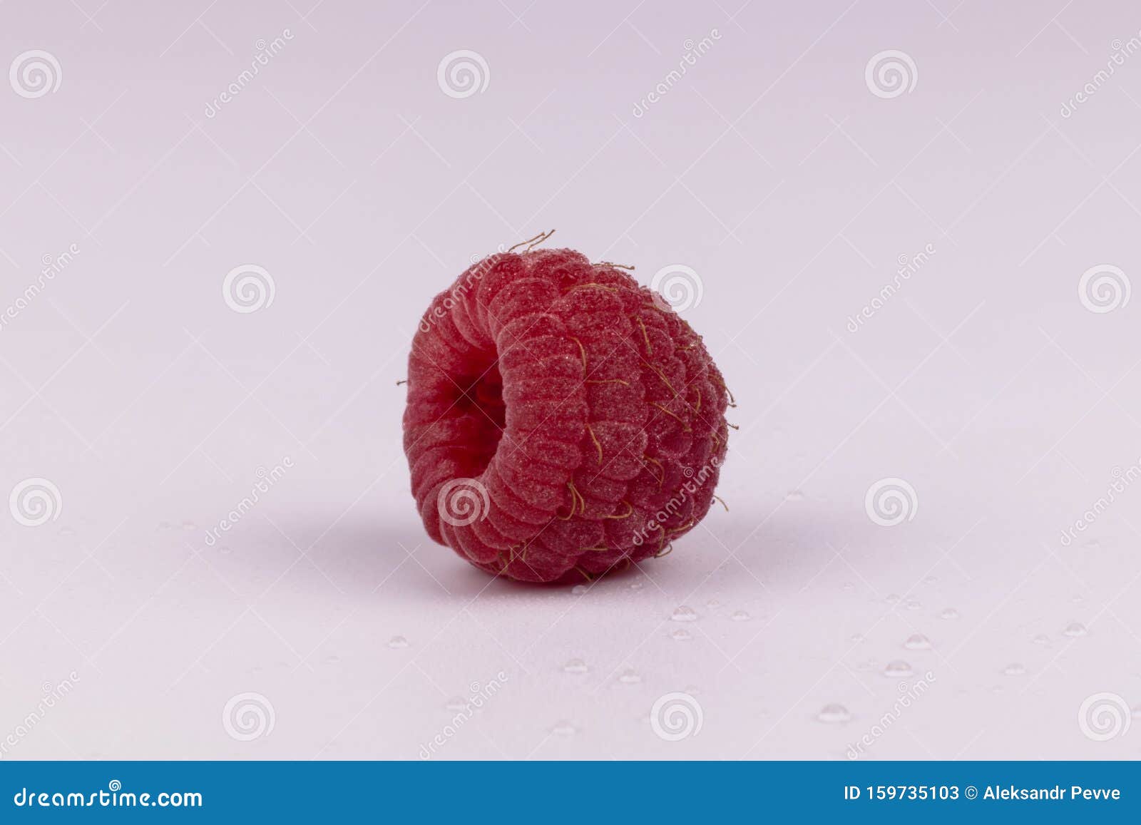 One Splattered with Water Red Organic Juicy Raspberry Front View Stock ...