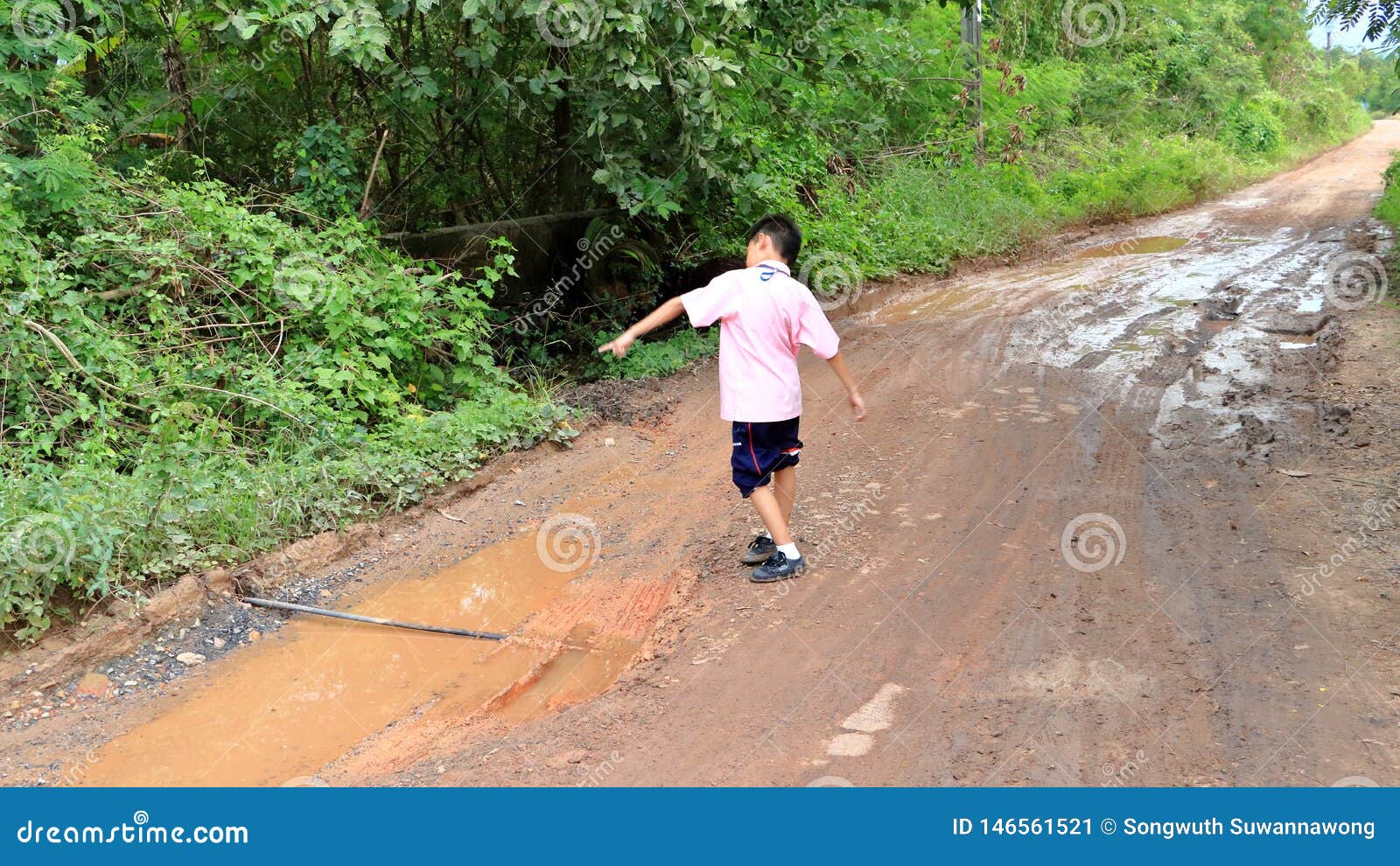 One Standing Bird is Raising His Legs and Scratching His Head in the ...